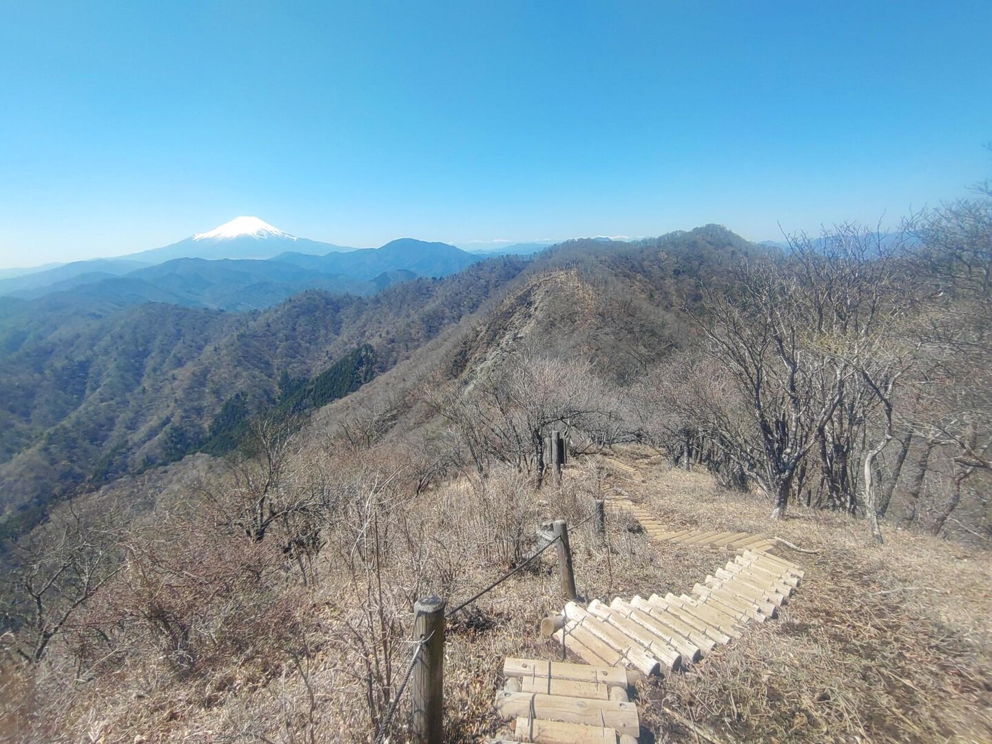 大室山（西丹沢VCから一周） / ぷちぷーちさんの塔ノ岳・丹沢山・蛭ヶ岳の活動データ | YAMAP / ヤマップ