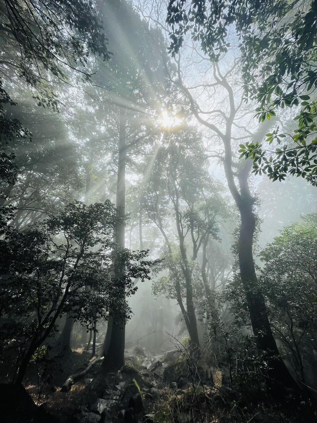 筑波山（女体山）・筑波山（男体山） / m. hiroさんの筑波山の活動データ | YAMAP / ヤマップ