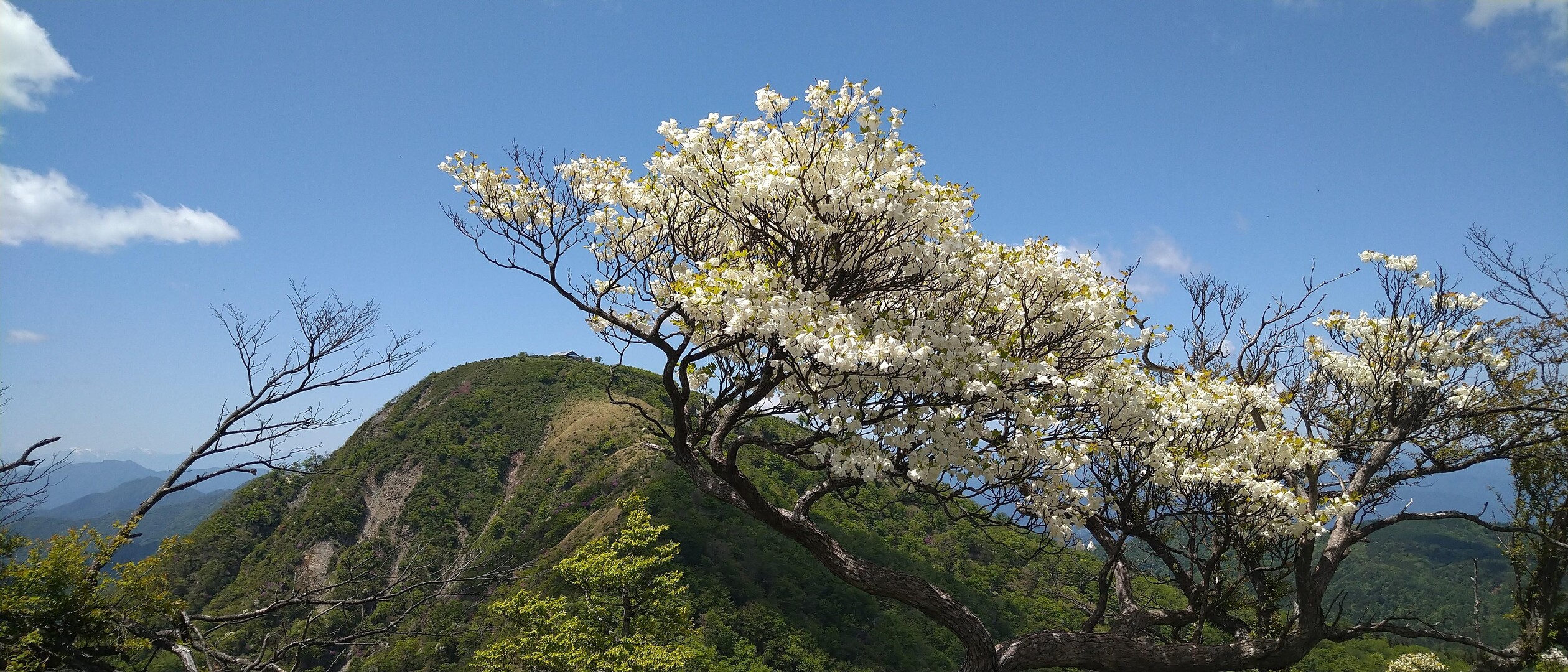 大倉から蛭ヶ岳往復 / vivoさんの塔ノ岳・丹沢山・蛭ヶ岳の活動データ | YAMAP / ヤマップ