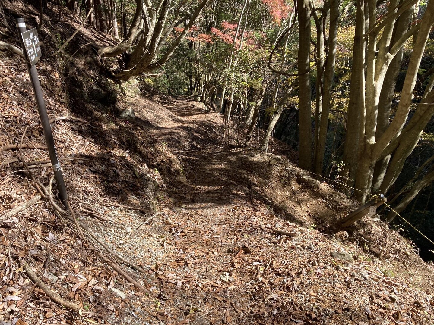 smashaceさんの投稿したフィールドメモ | YAMAP / ヤマップ