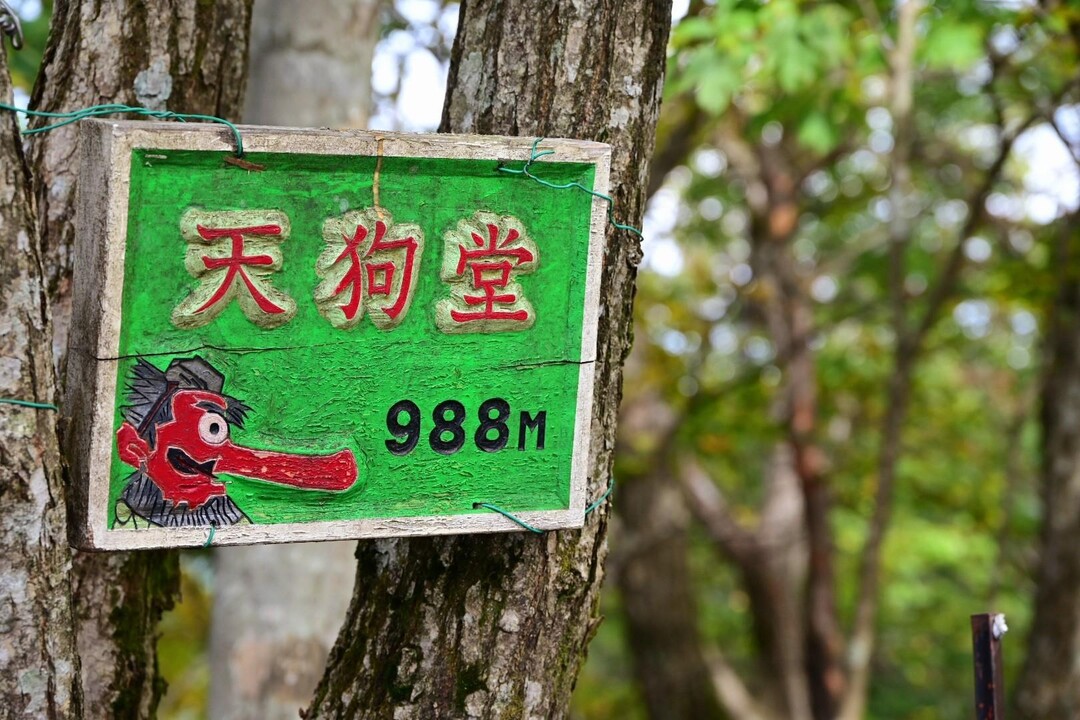 天狗堂-P924-サンヤリ-岩尾谷登山口-君ヶ畑バス停 周回コースの地図・登山ルート・登山口情報 | YAMAP / ヤマップ