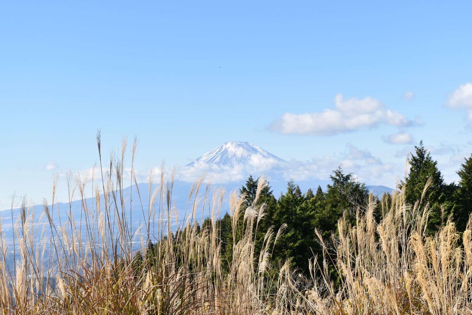高松山・太尾山 / Nic_kgさんの高松山・大野山の活動データ | YAMAP / ヤマップ