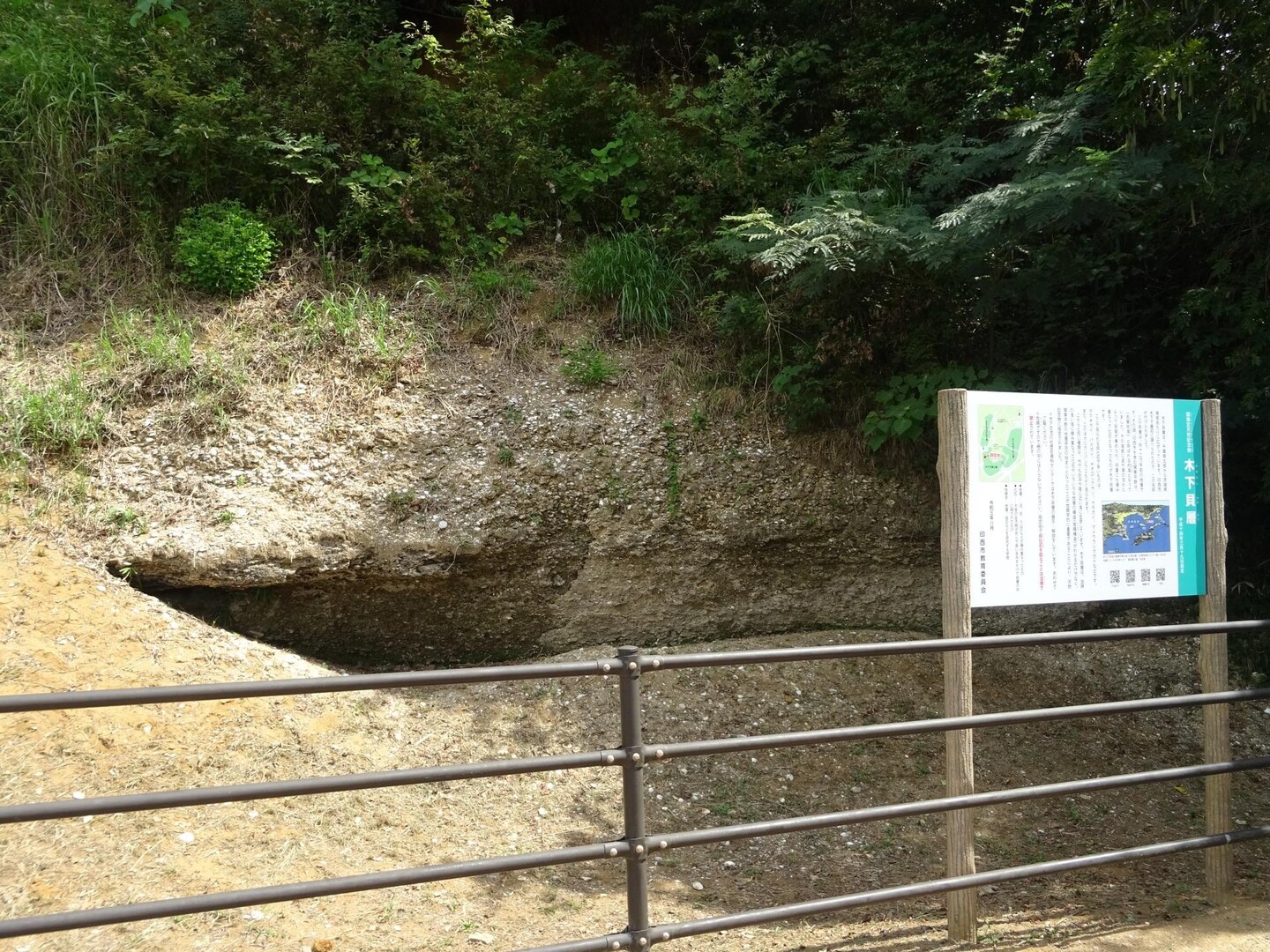 【木下貝層】 12.5万年前の下末吉海進... / t24riverさんのモーメント | YAMAP / ヤマップ