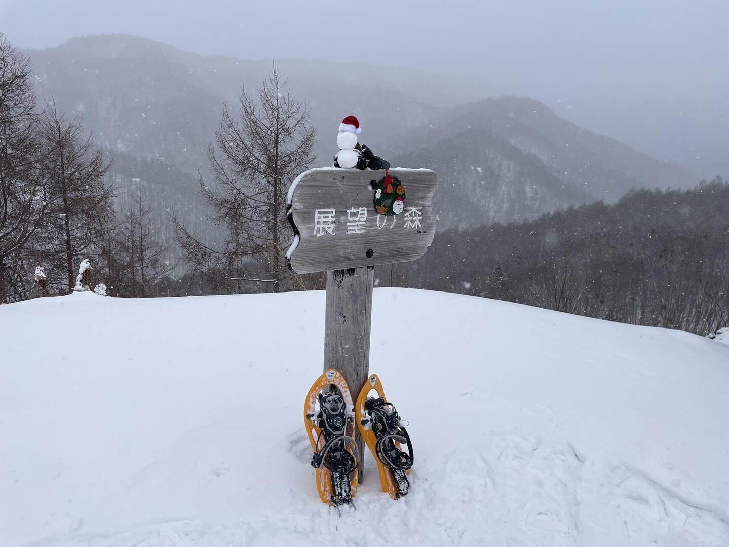 万字ズリ山 ️5️⃣6️⃣ まだ早いXmas🎄 / mii500さんの幌向岳・ズリ山の活動データ | YAMAP / ヤマップ