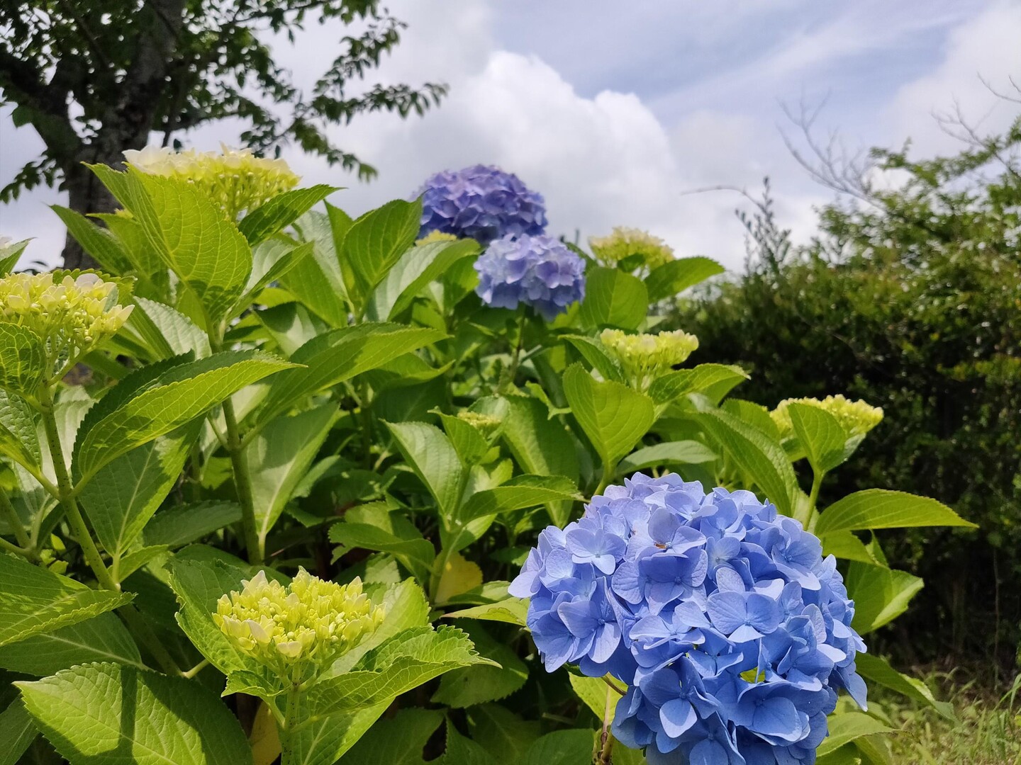 山ノ堂山・石峰山・高塔山 / Gen-jiさんの石峰山・高塔山の活動データ | YAMAP / ヤマップ
