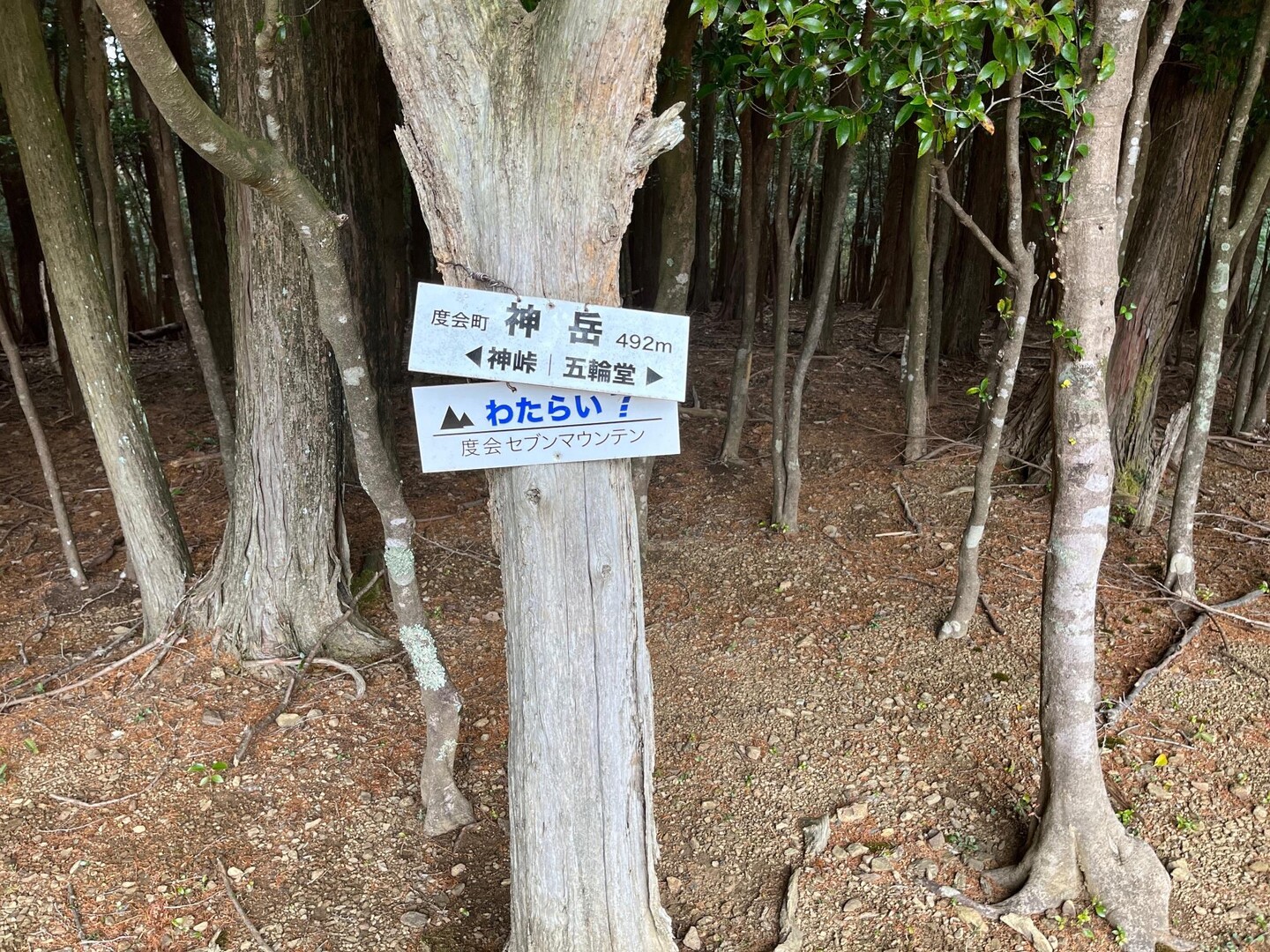 わたらい7 神岳 / TRA01さんの牛草山・神岳の活動データ | YAMAP / ヤマップ