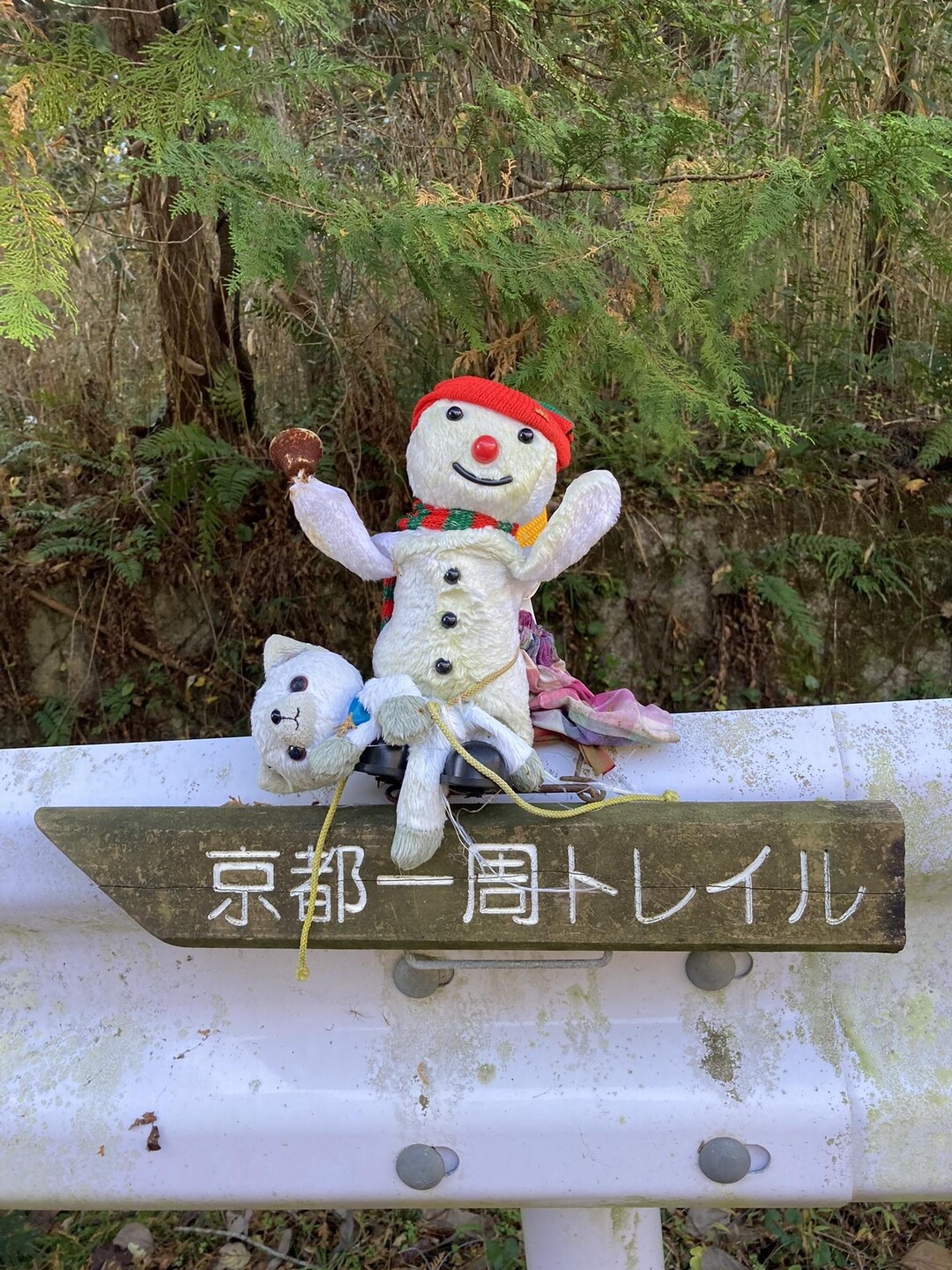 京都一周トレイル 北山西部コース / maecciさんの京都一周トレイルの活動データ | YAMAP / ヤマップ