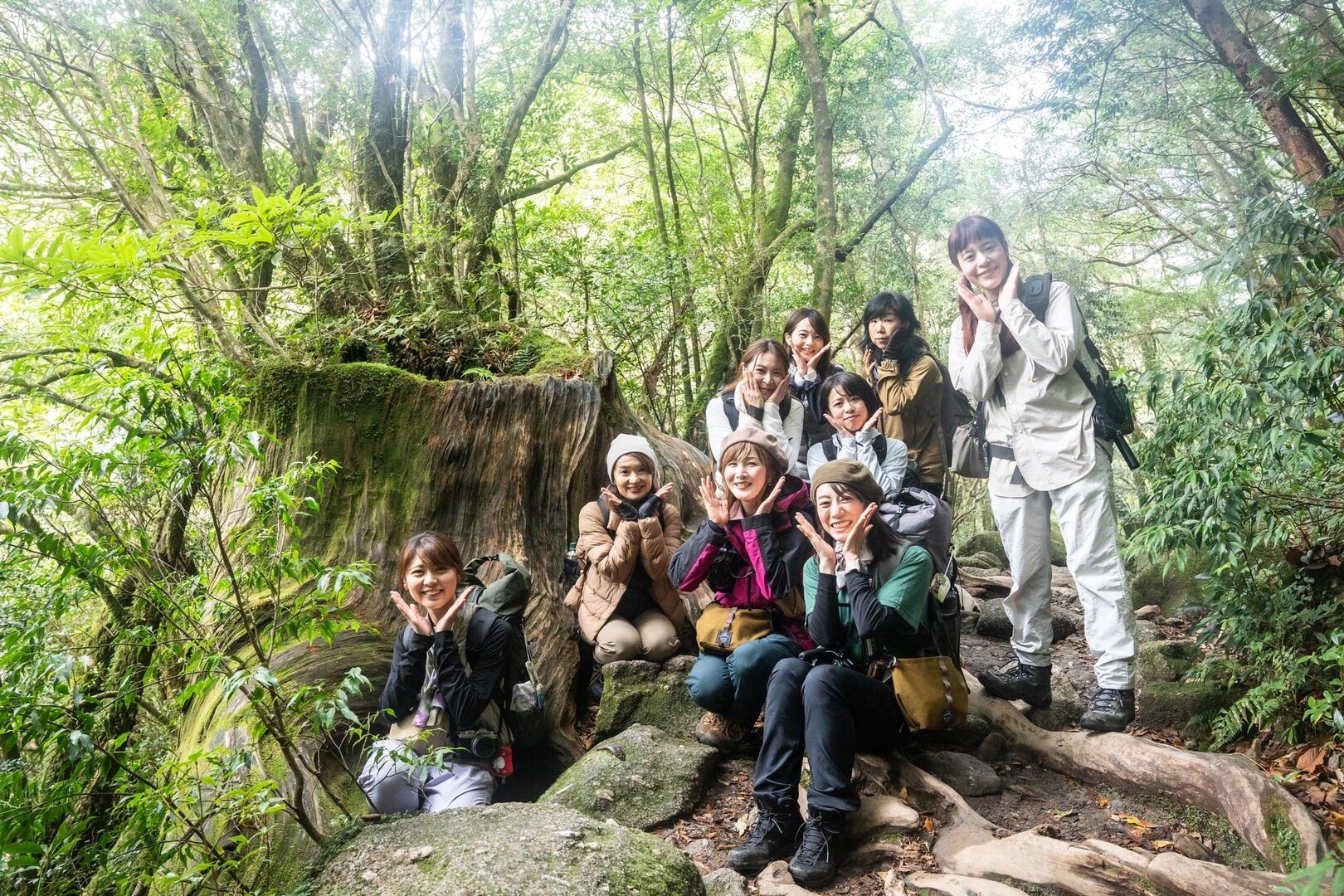 白谷雲水狭 / erikoさんの屋久島・宮之浦岳の活動データ | YAMAP / ヤマップ