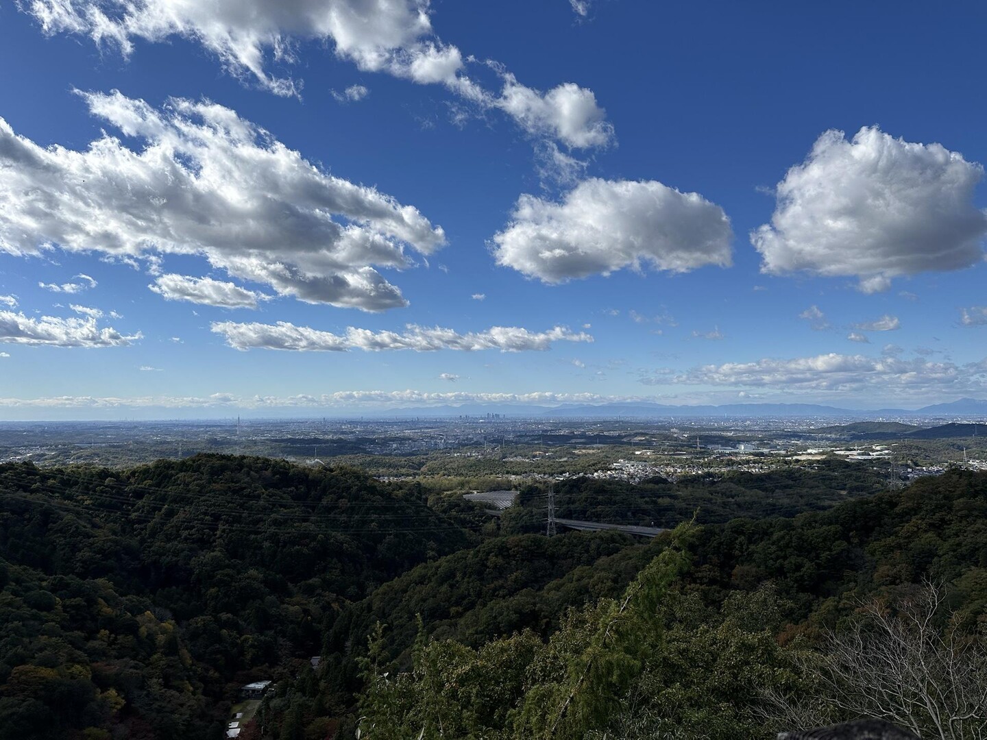 元岩巣山・岩巣山 / aruさんの岩巣山・三国山・折平山の活動データ | YAMAP / ヤマップ