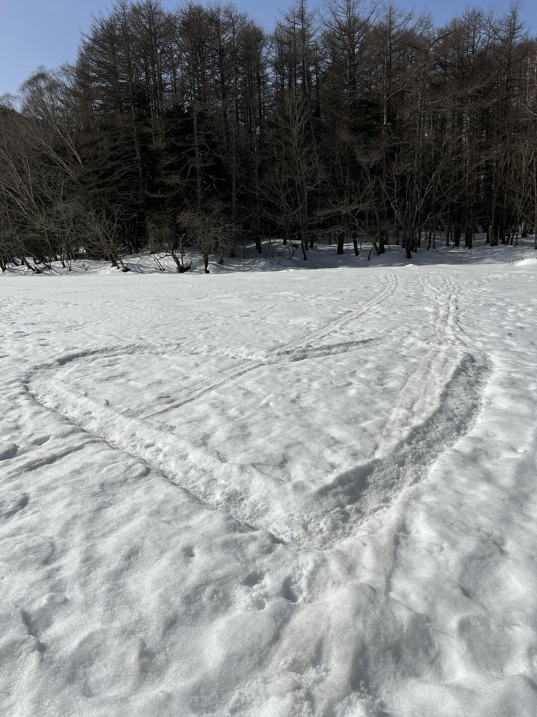 66,69 ハート修復 鶏頂山・釈迦ヶ岳(高原山) / snoopyさんの高原山・釈迦ヶ岳・鶏頂山の活動日記 | YAMAP / ヤマップ