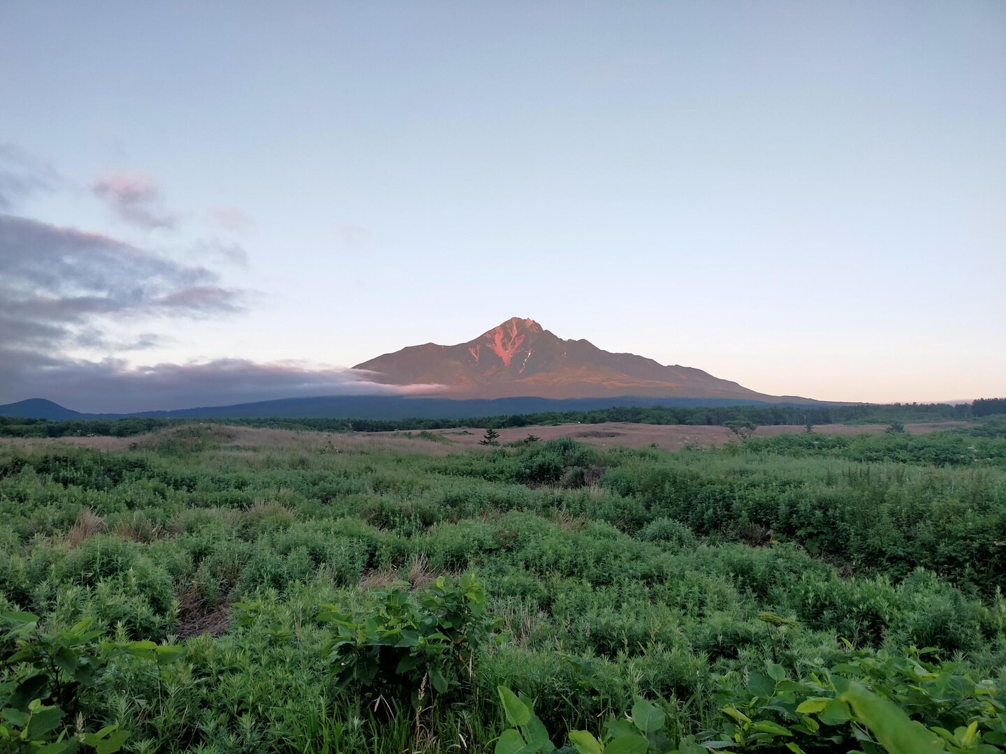 長官山・利尻山（利尻富士） / digdigさんの利尻山（利尻富士）の活動データ | YAMAP / ヤマップ