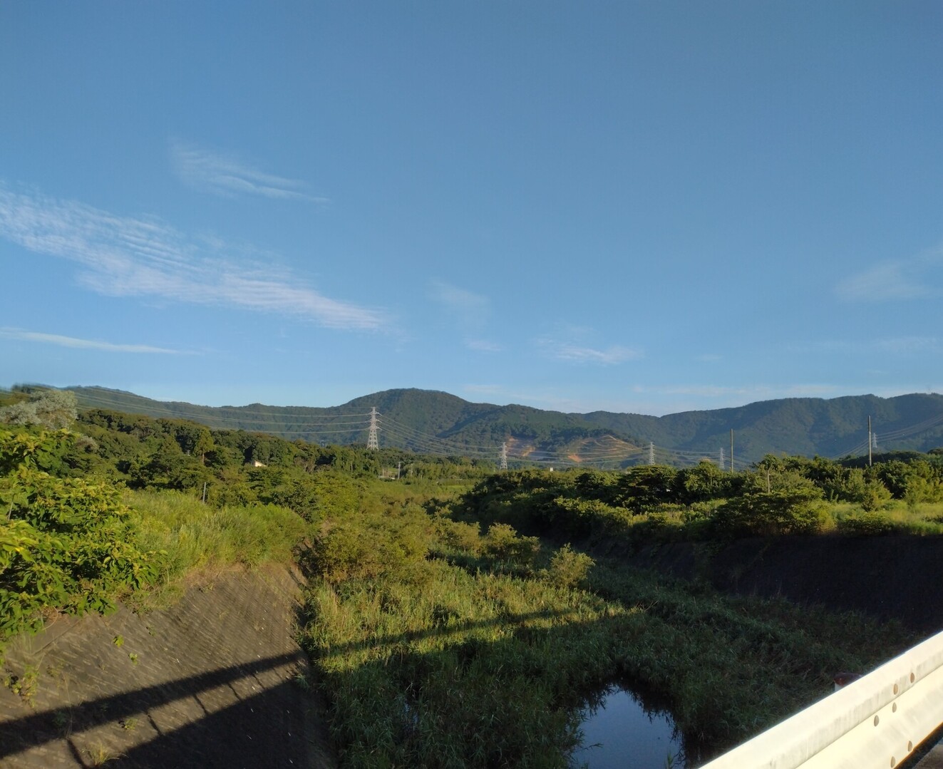 ASK湖西周回☀ / つーたさんの坊ヶ峰・石巻山・神石山・葦毛湿原の活動データ | YAMAP / ヤマップ