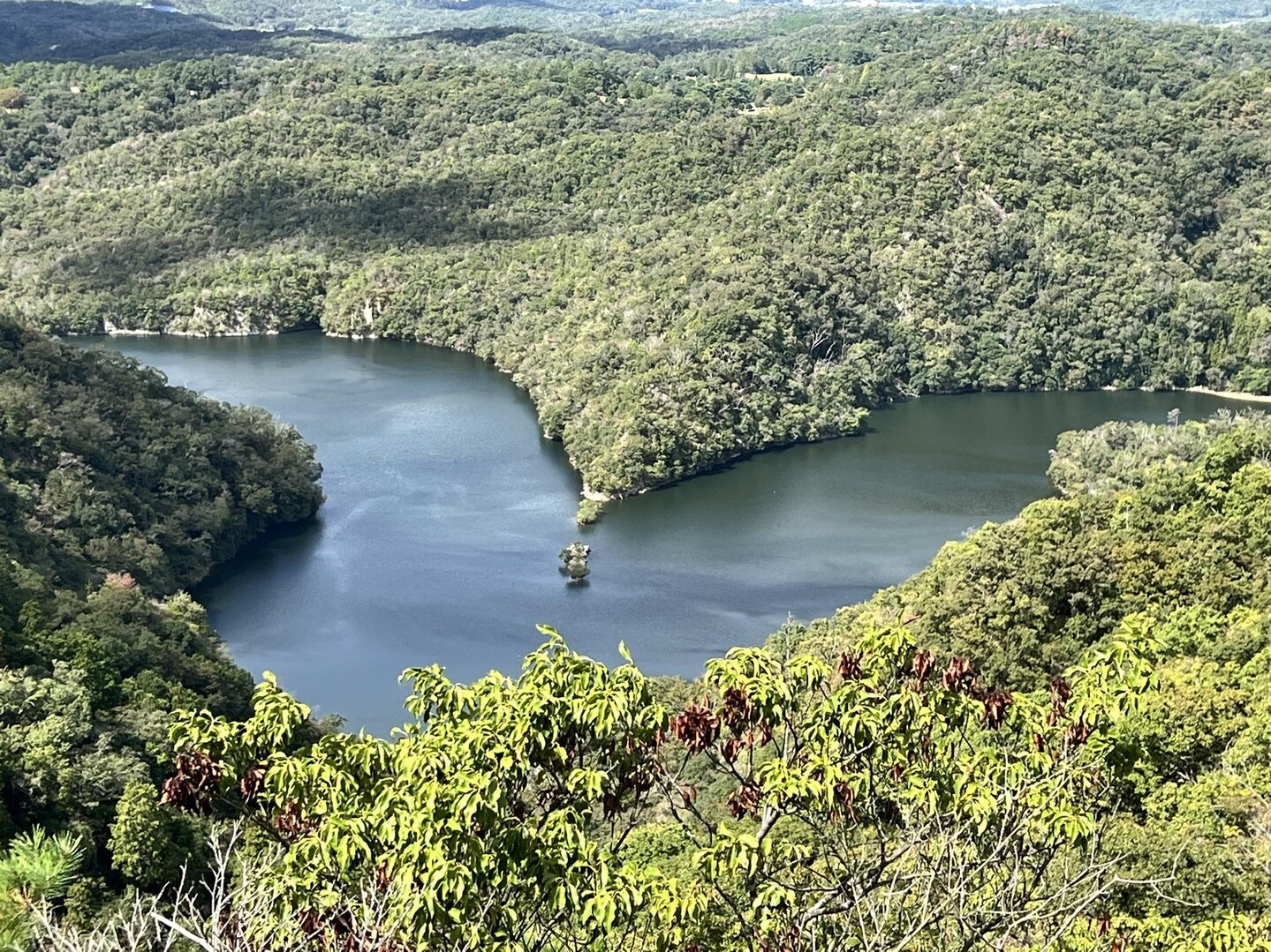 天使の羽根🪽 / kobuta さんの大岩岳の活動データ | YAMAP / ヤマップ