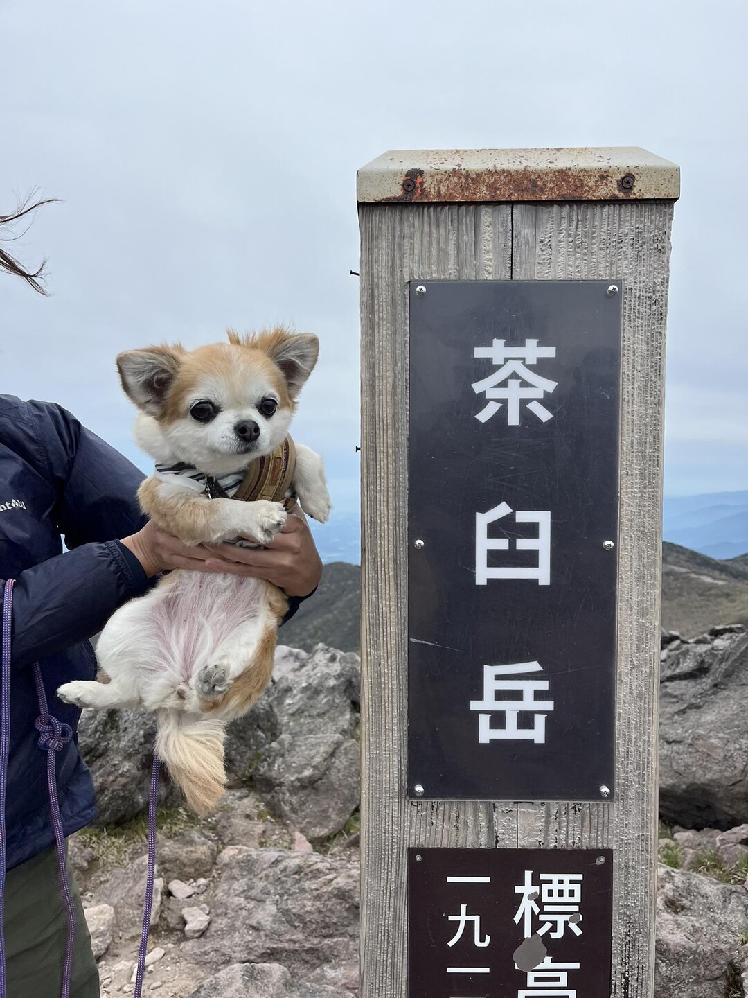 愛犬と強風の那須岳 / emiさんの茶臼岳（那須岳）・三本槍岳・赤面山の活動データ | YAMAP / ヤマップ