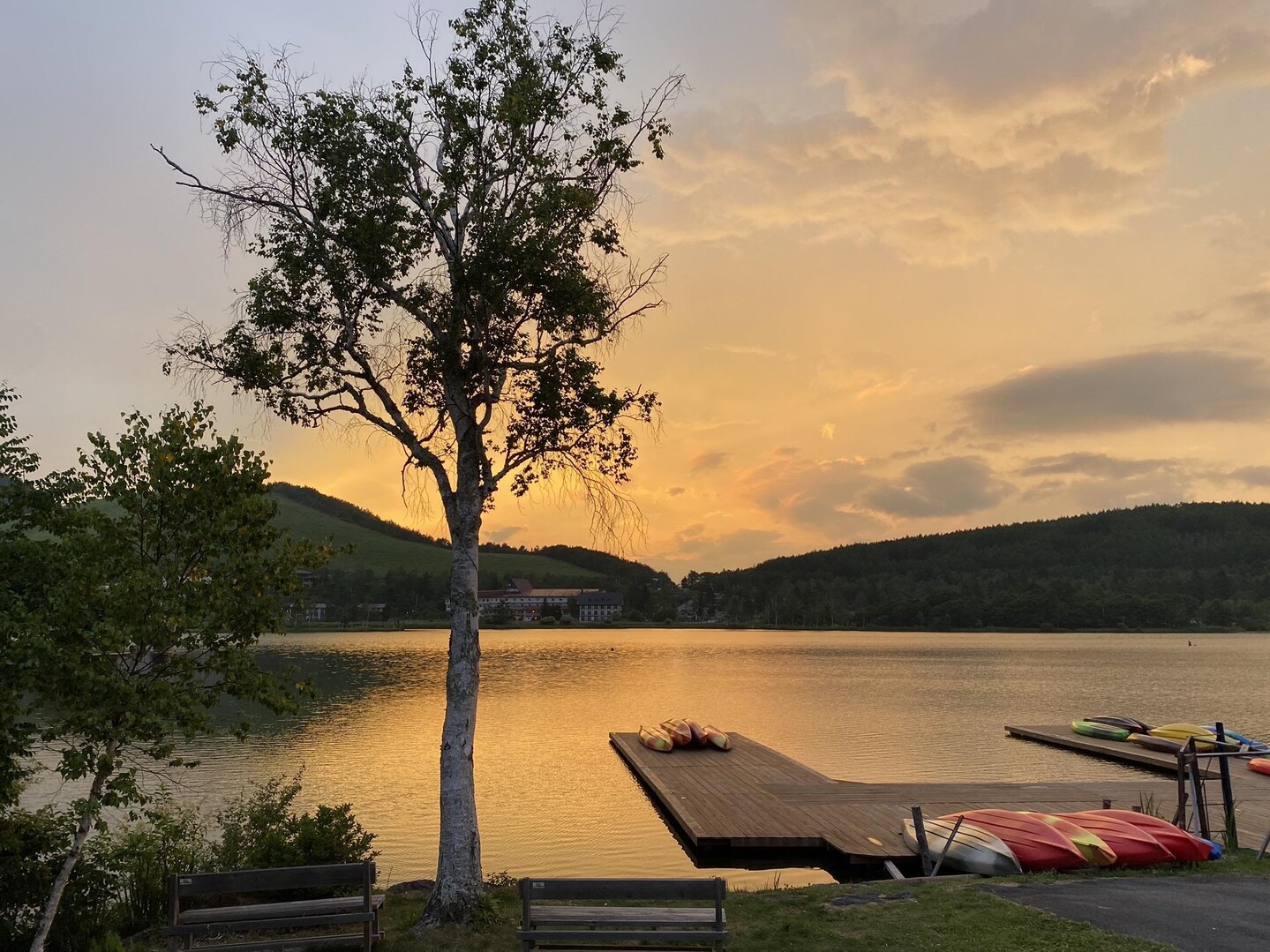 白樺湖畔の黄昏 / nononさんのモーメント | YAMAP / ヤマップ