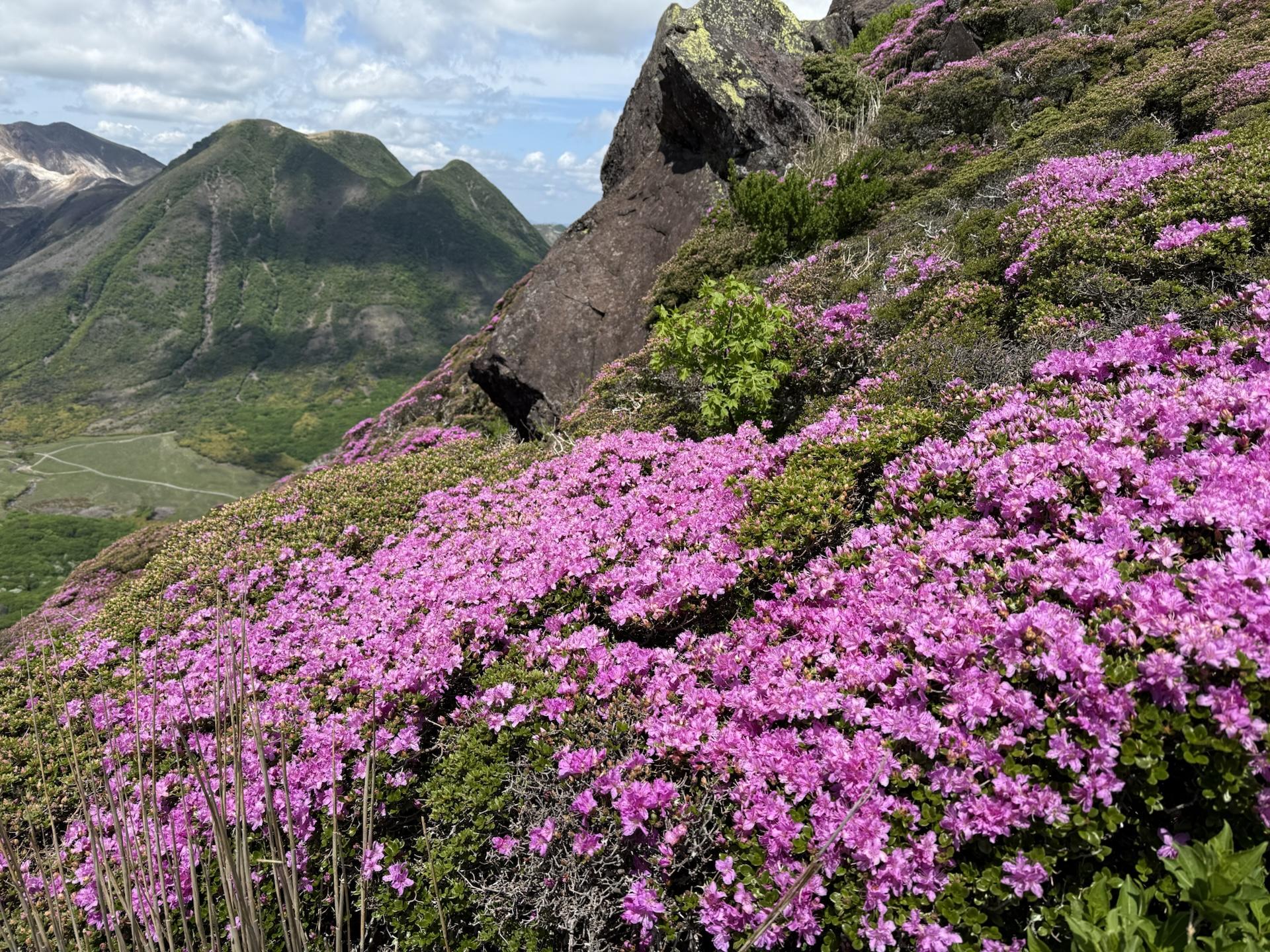 大船山・北大船山・平治岳 / Takuさんの九重山（久住山）・大船山・星生山の活動データ | YAMAP / ヤマップ