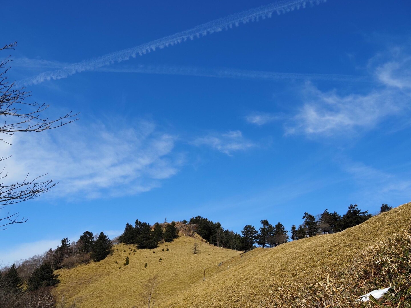 大菩薩嶺 / wak-kunさんの大菩薩嶺・鶏冠山・大マテイ山の活動データ | YAMAP / ヤマップ