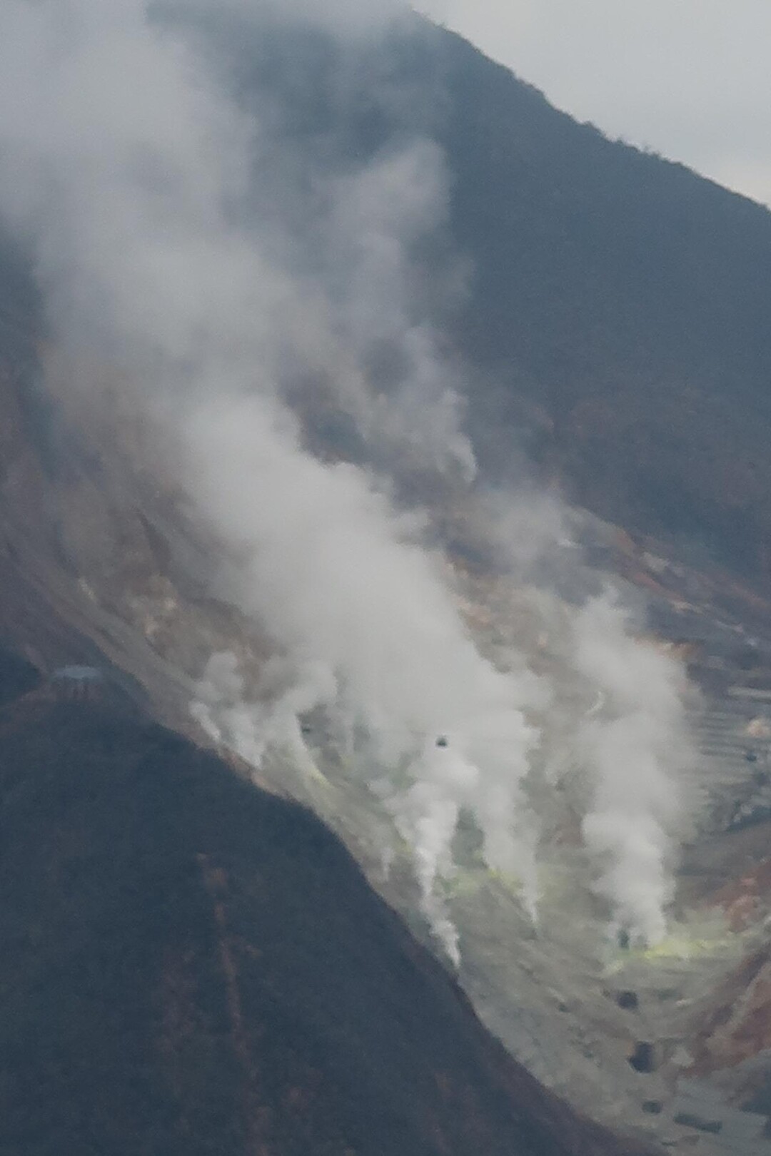 2022登り納め / KJR-Rさんの箱根山・神山の活動データ | YAMAP / ヤマップ