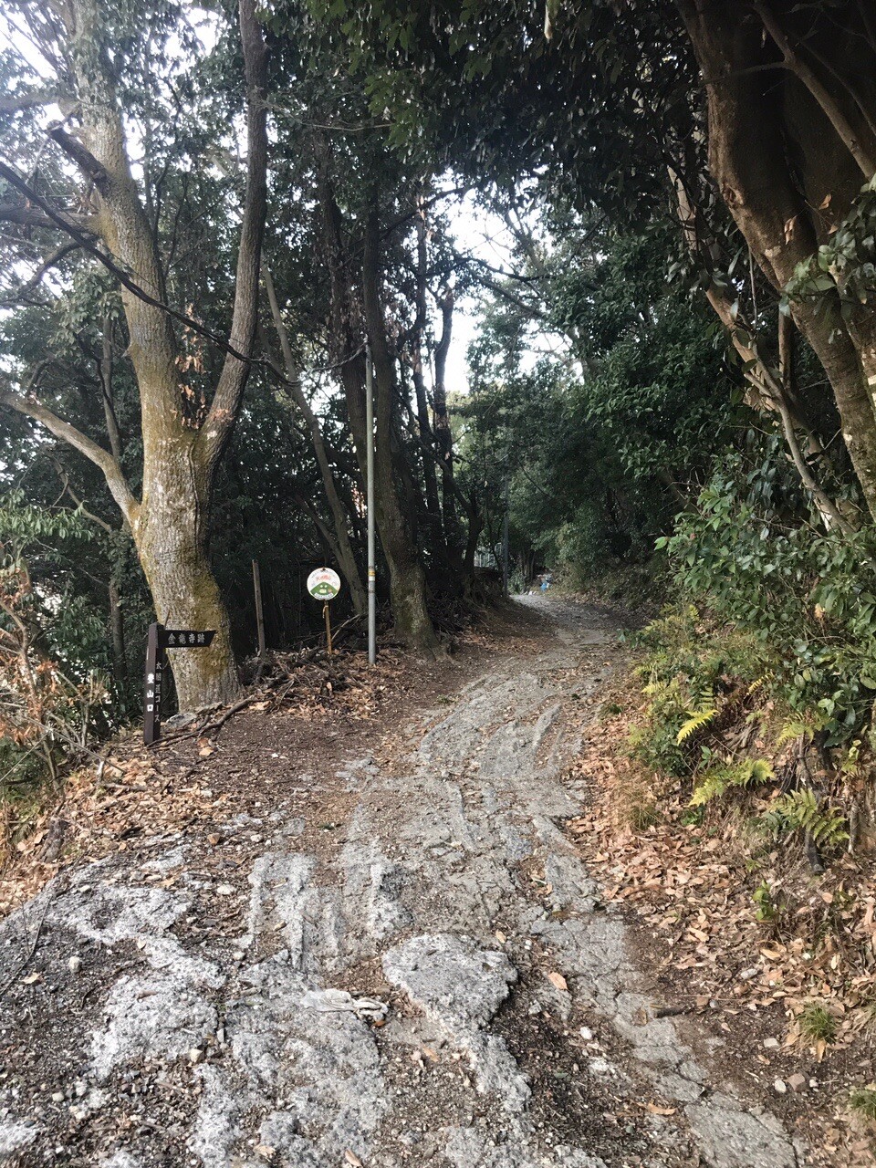 ぷーさん5646さんの投稿したフィールドメモ | YAMAP / ヤマップ