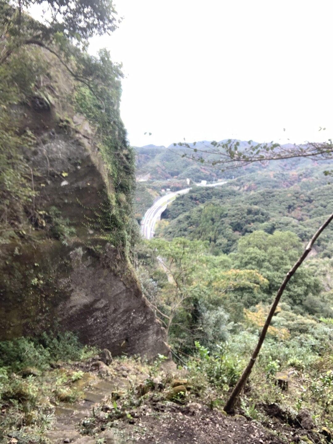 千葉県、鋸山 / kosmasさんの鋸山の活動データ | YAMAP / ヤマップ