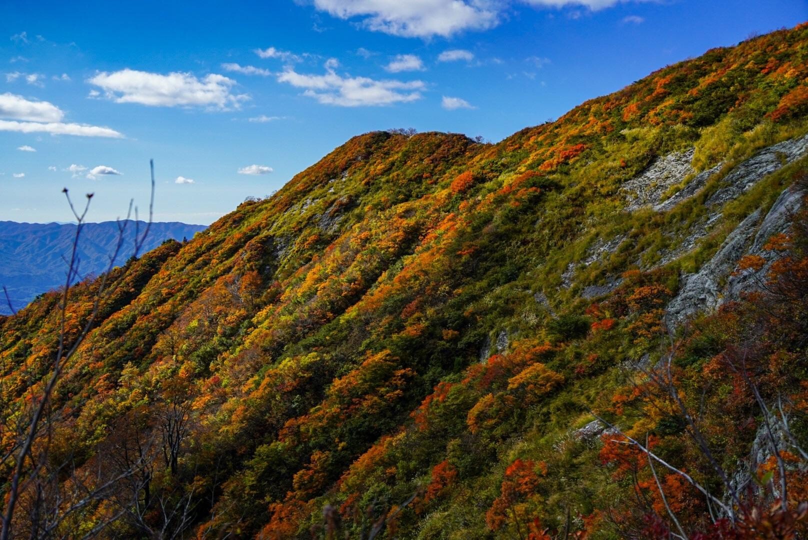焼峰山 / t2さんの蒜場山・焼峰山・俎倉山の活動データ | YAMAP / ヤマップ