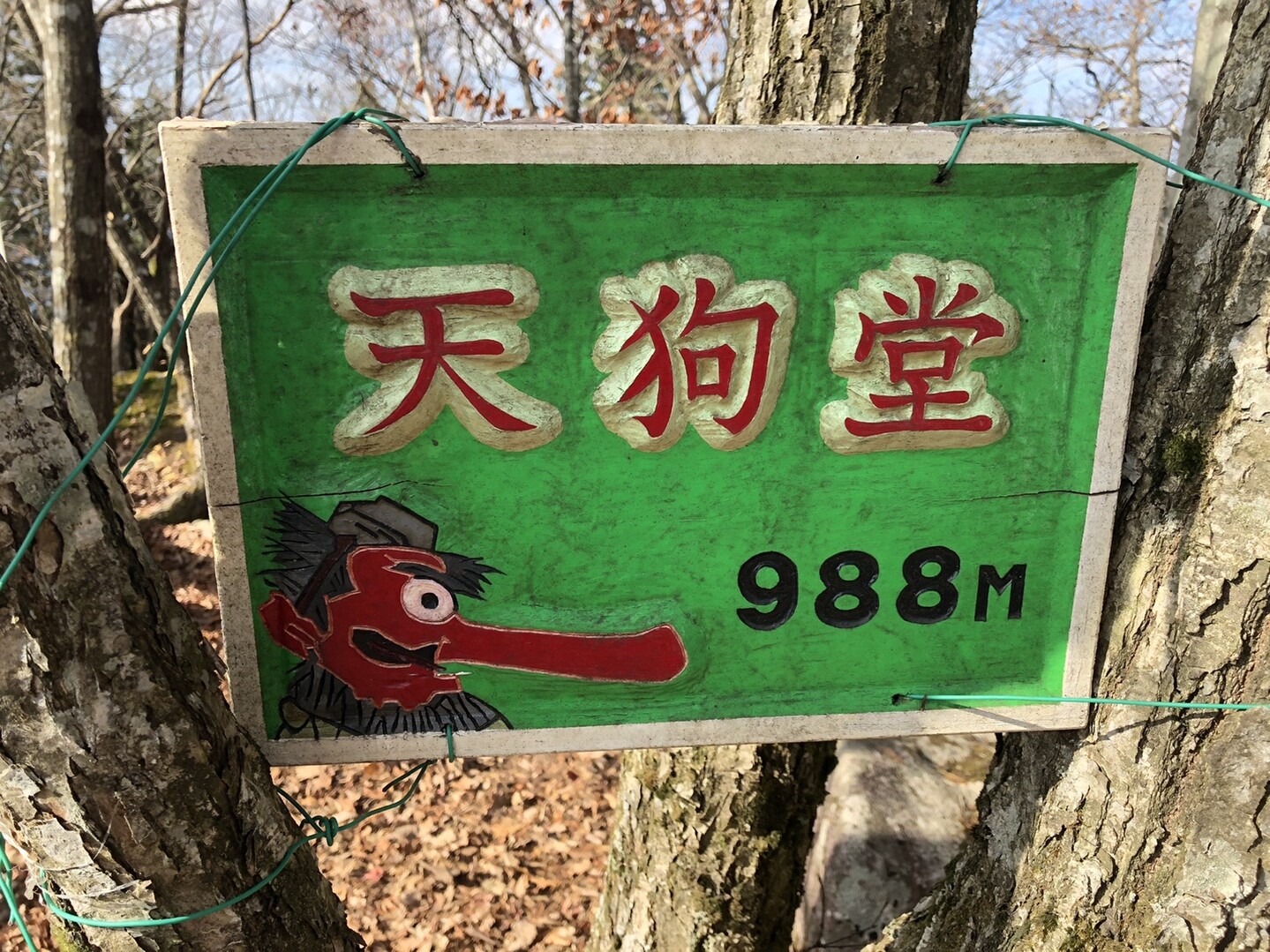 天狗堂・サンヤリ / エイサクさんの天狗堂の活動データ | YAMAP / ヤマップ