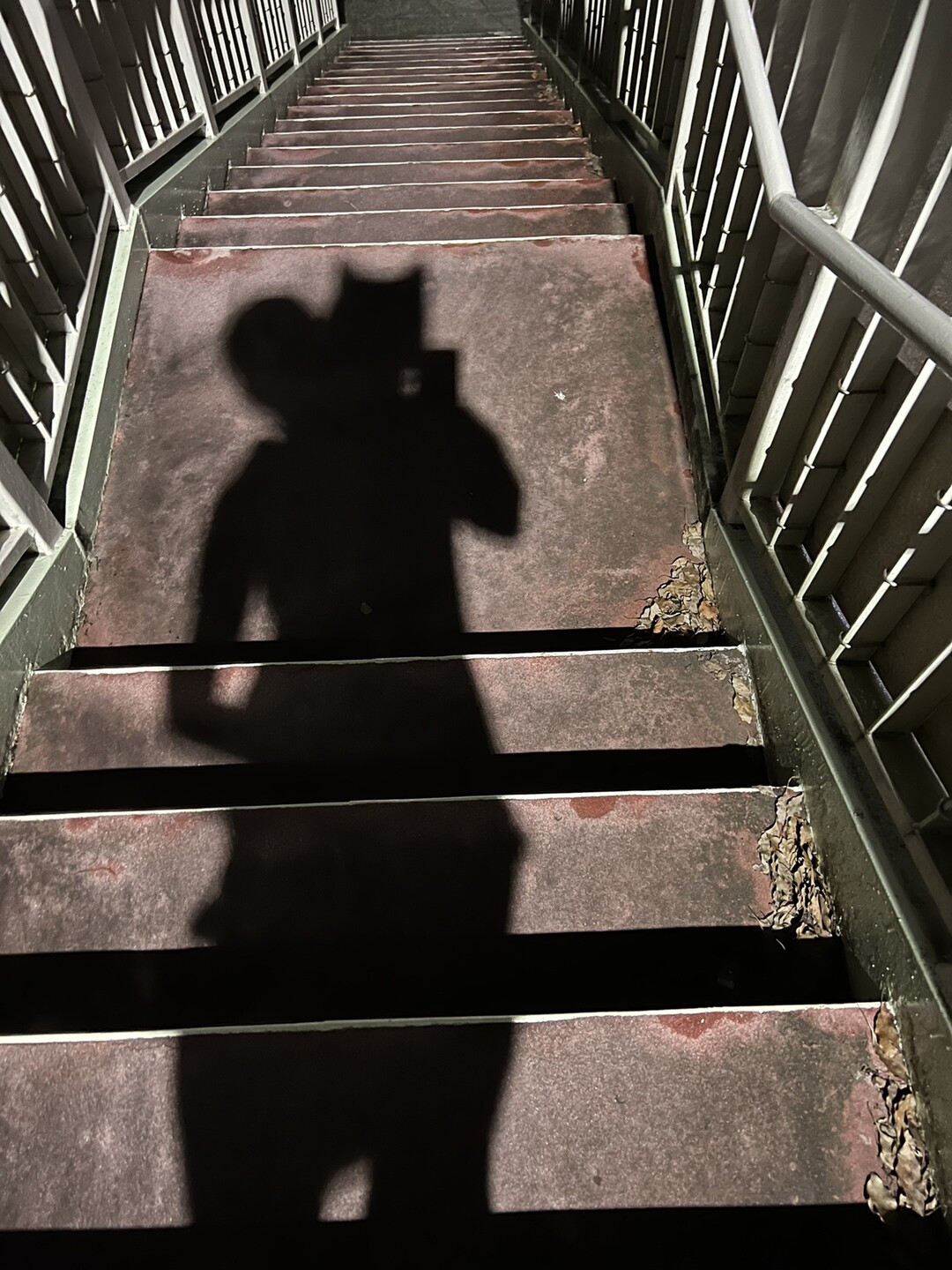 筋肉を付けたくてトレーニング⁉︎ 13.... / mipiさんのモーメント | YAMAP / ヤマップ