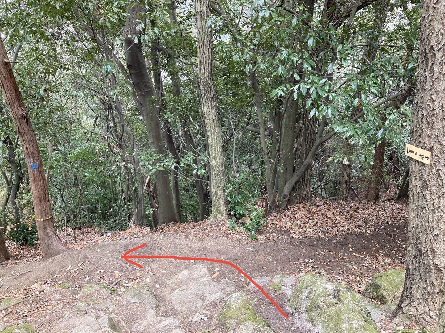 kazz309さんの投稿したフィールドメモ | YAMAP / ヤマップ