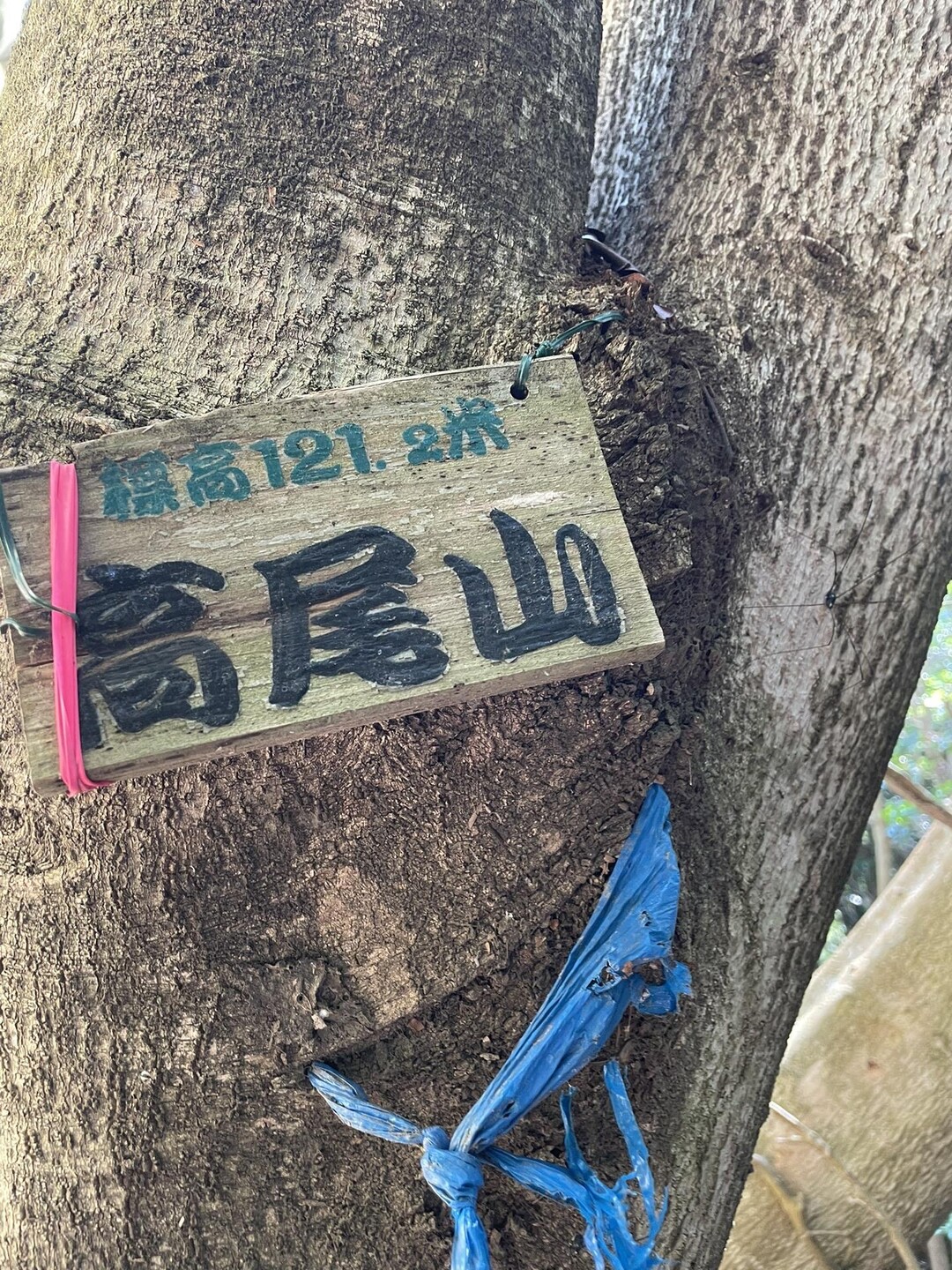 高尾山 南山口IC近く / JBT会員番号5さんの黒河内山の活動データ | YAMAP / ヤマップ