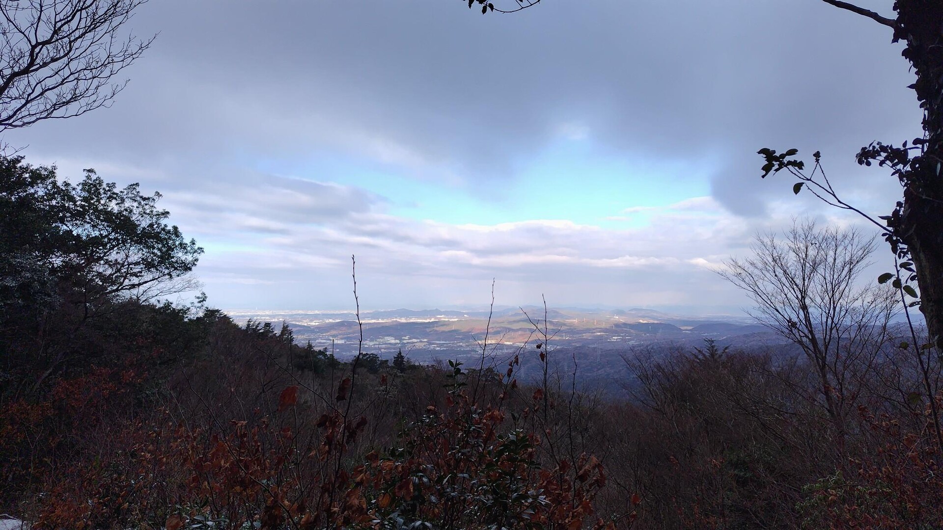 猿投山 / riki🐶さんの猿投山・物見山の活動データ | YAMAP / ヤマップ