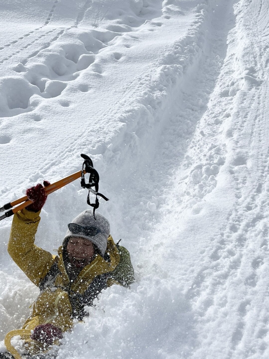 ️ヒップソリ楽しい ️深入山 ️ / guchiさんの深入山の活動データ | YAMAP / ヤマップ