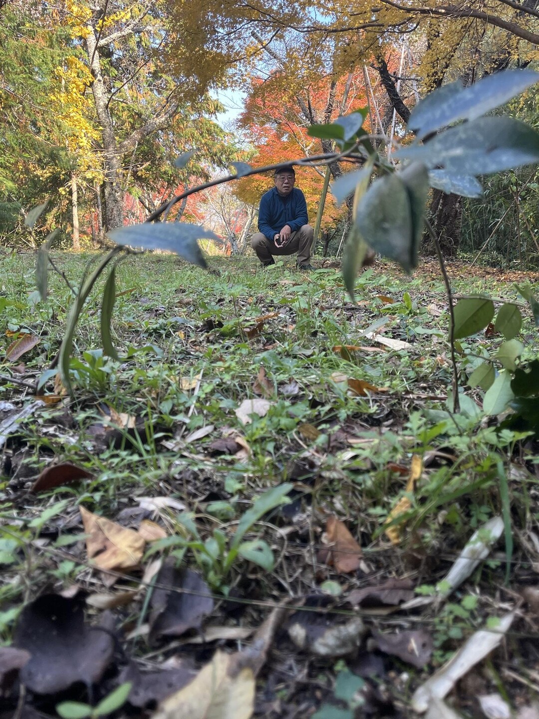 祇園山 / cocoさんの高松市の活動日記 | YAMAP / ヤマップ