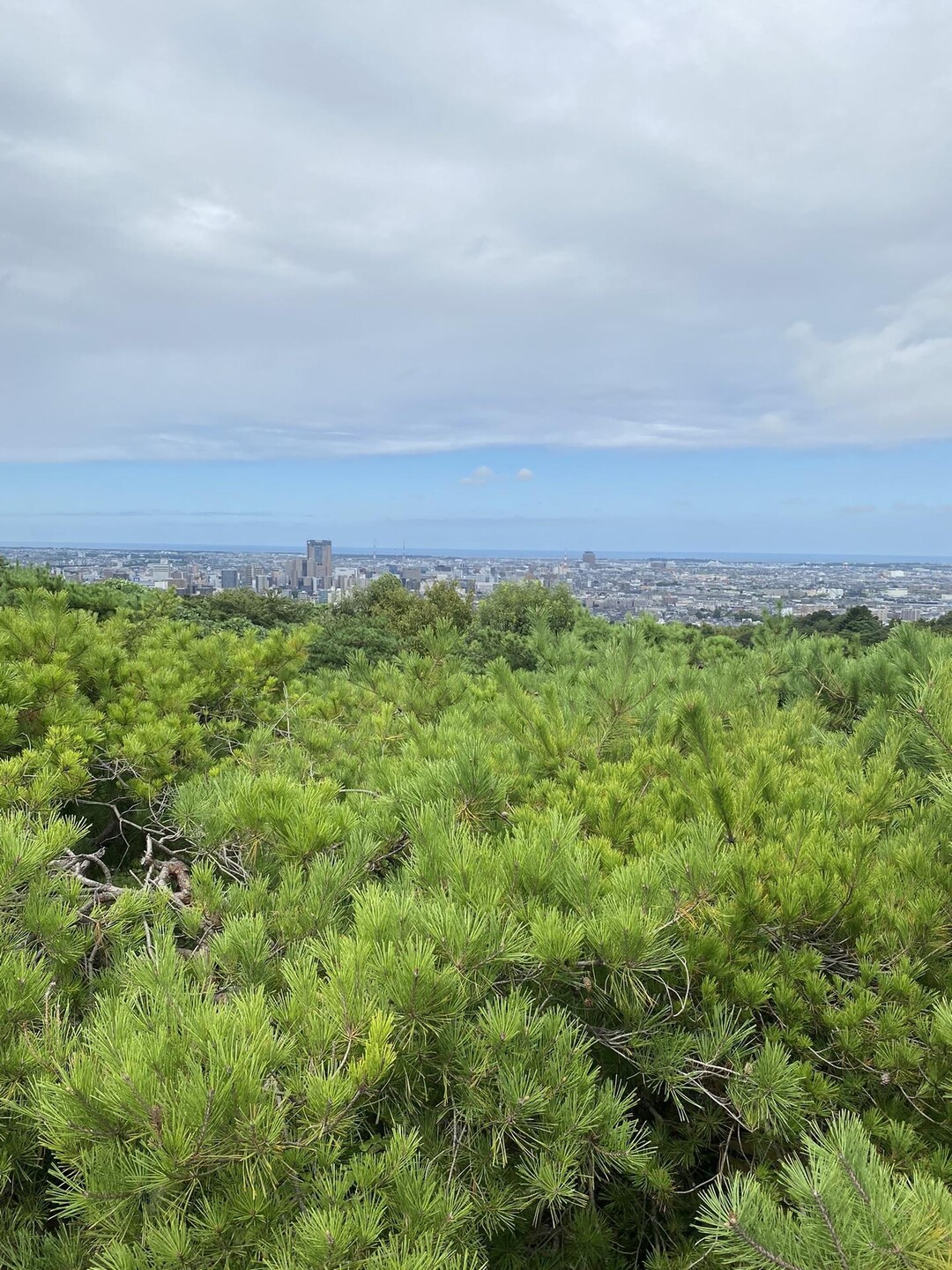 卯辰山・春日山 / Shigexさんの卯辰山の活動データ | YAMAP / ヤマップ