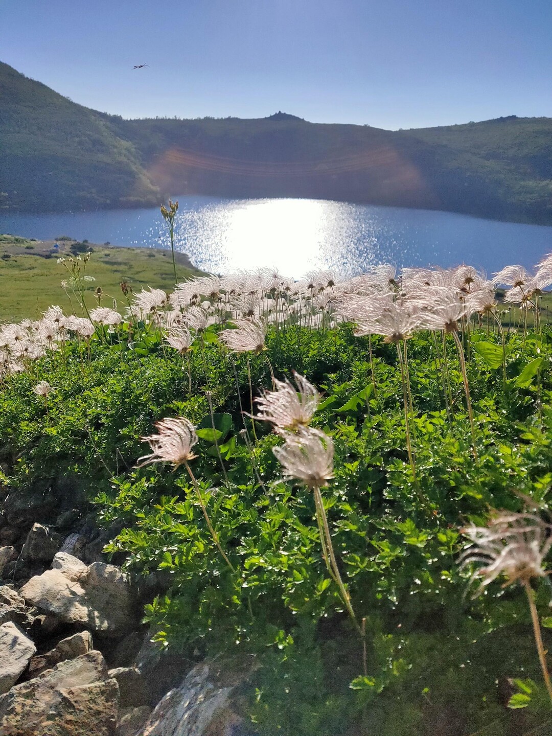 白馬大池山荘～船越の頭迄 / o-----jiさんの白馬岳・小蓮華山の活動データ | YAMAP / ヤマップ