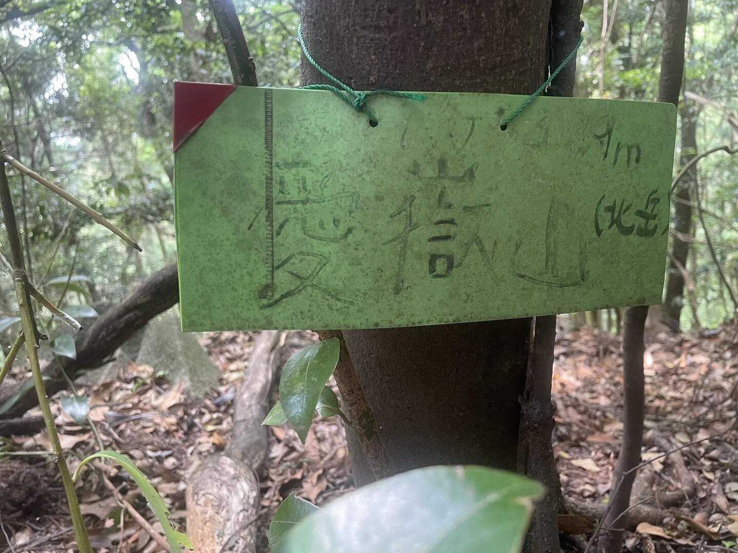 週刊⛰️宝満山4(下山→愛嶽山経由) / daikiboさんの宝満山・三郡山・若杉山の活動データ | YAMAP / ヤマップ