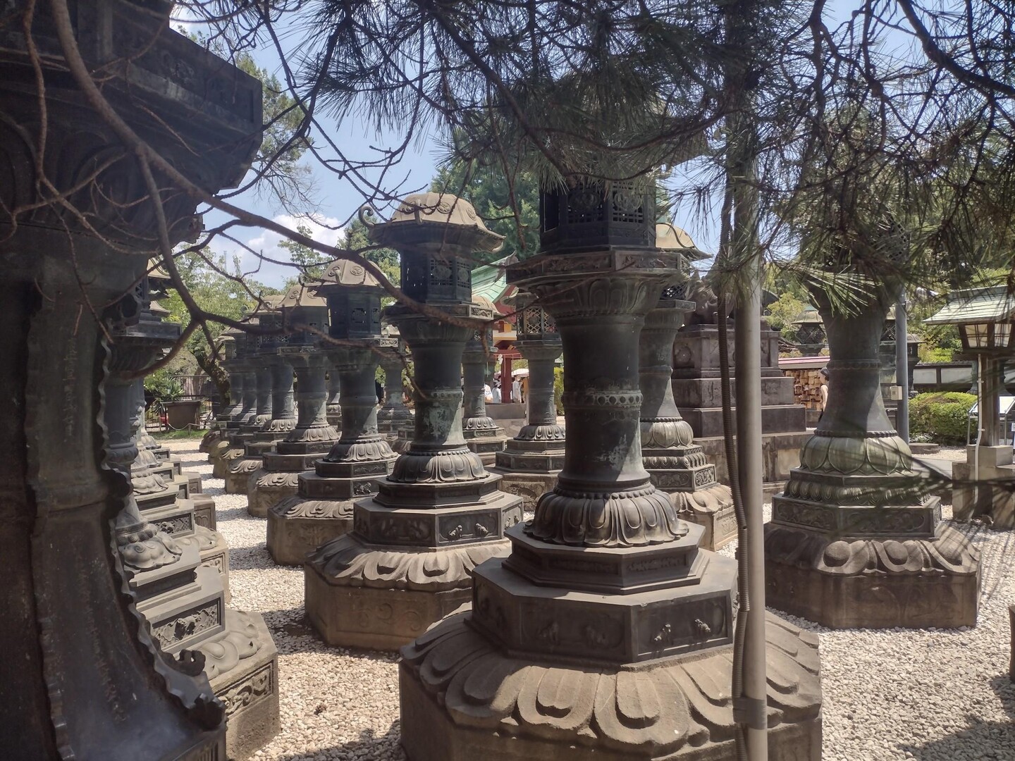 上野恩賜公園(大仏山・摺鉢山) / my-kyさんの東京都23区 中央エリアの活動データ | YAMAP / ヤマップ