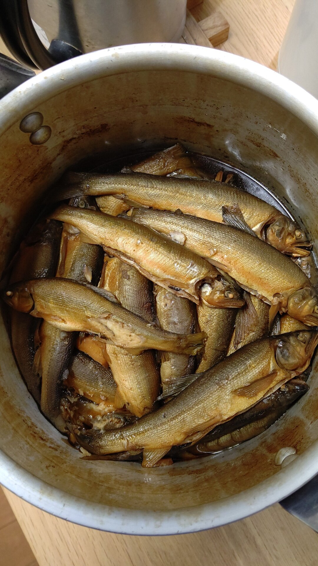 鮎の甘露煮作りました40匹😋 圧力鍋で... / kouchanさんのモーメント | YAMAP / ヤマップ