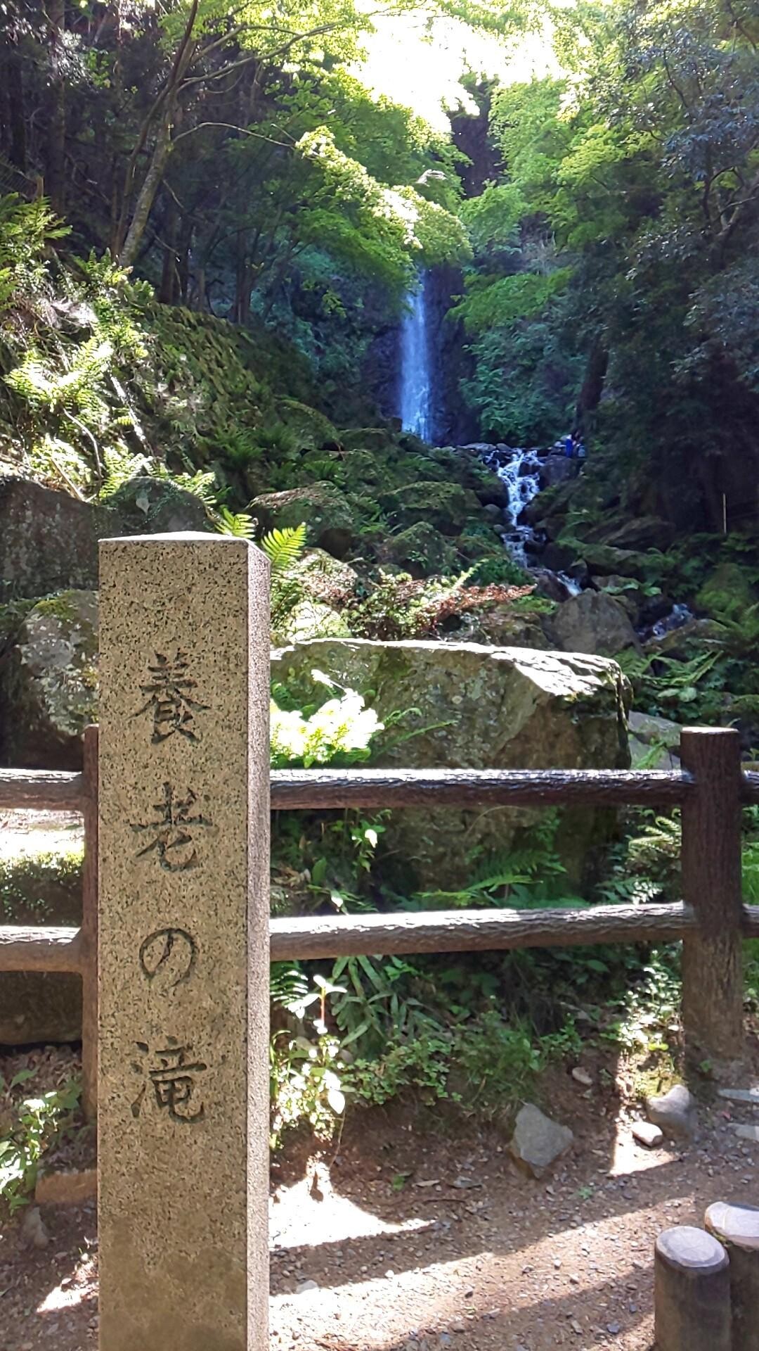 表山・裏山・行平山・笙ヶ岳（東峰）・笙ヶ岳・北尾根P826峰・小倉山・養老山・三方山 / akicoさんの養老山・笙ヶ岳・三方山の活動データ | YAMAP / ヤマップ