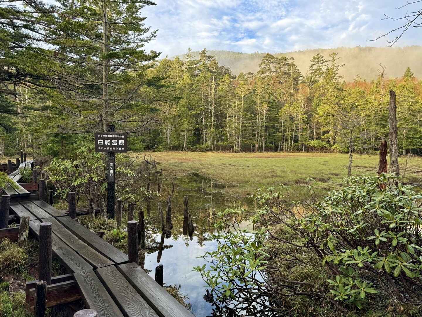 八ヶ岳（ニュウ ・ 東天狗岳 • 西天狗岳） / T2さんの八ヶ岳（赤岳・硫黄岳・天狗岳）の活動データ | YAMAP / ヤマップ