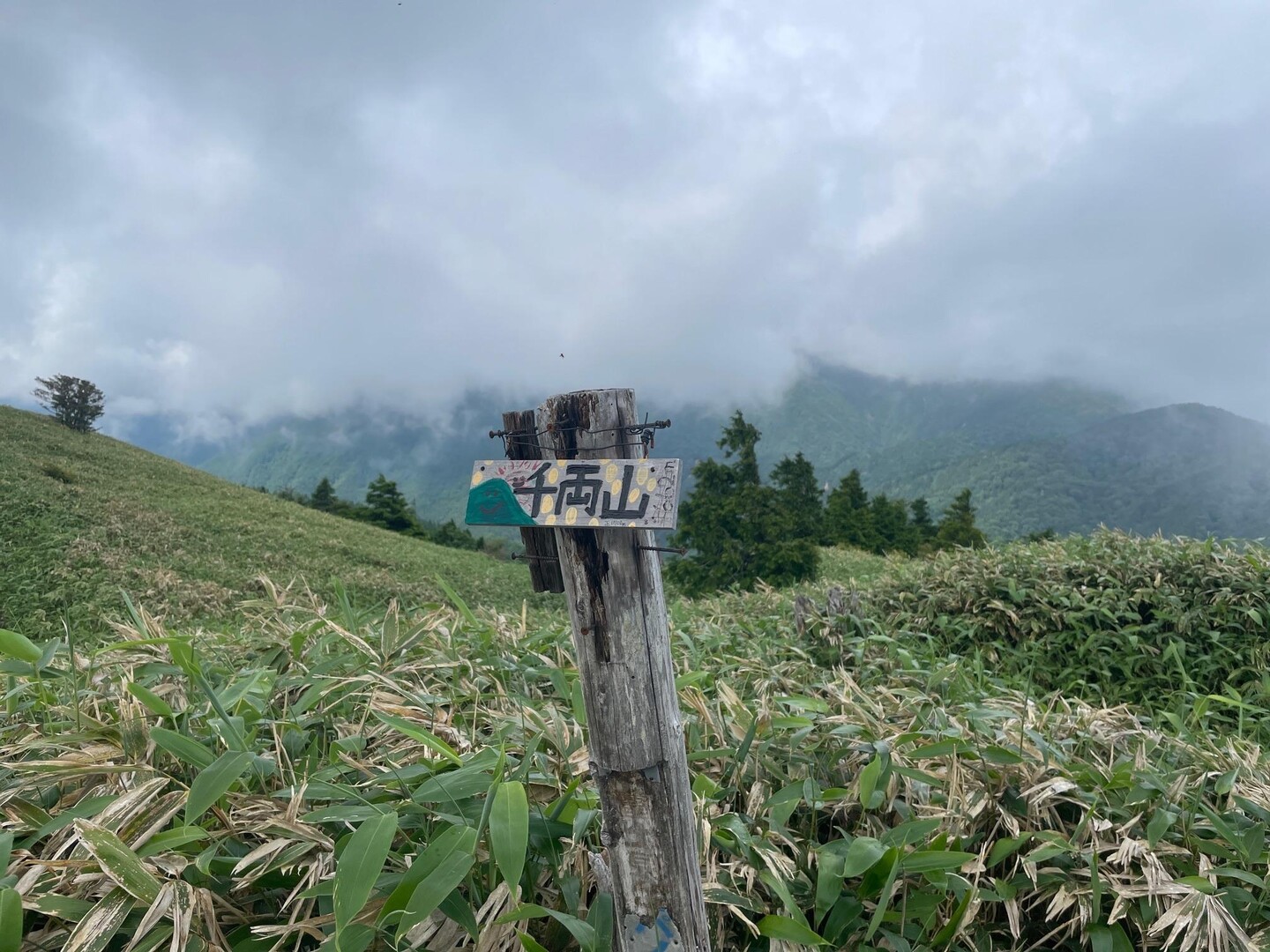 富士見台・千両山 / kato8686さんの恵那山・大判山・神坂山の活動データ | YAMAP / ヤマップ