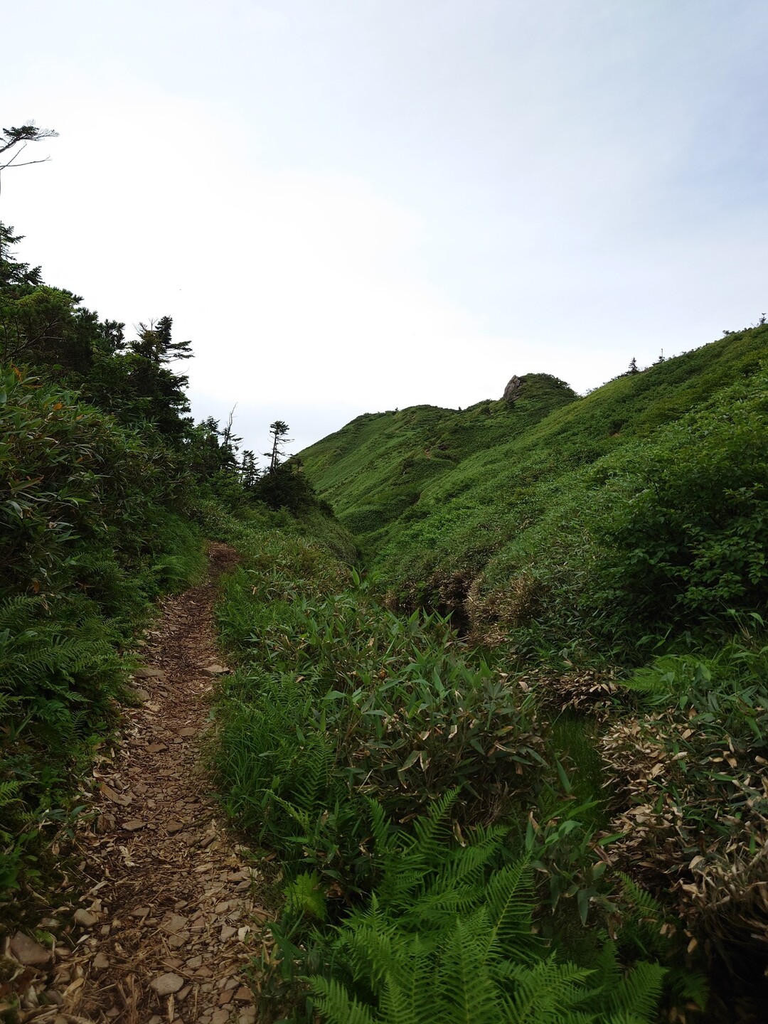 HiroNagさんの投稿したフィールドメモ | YAMAP / ヤマップ