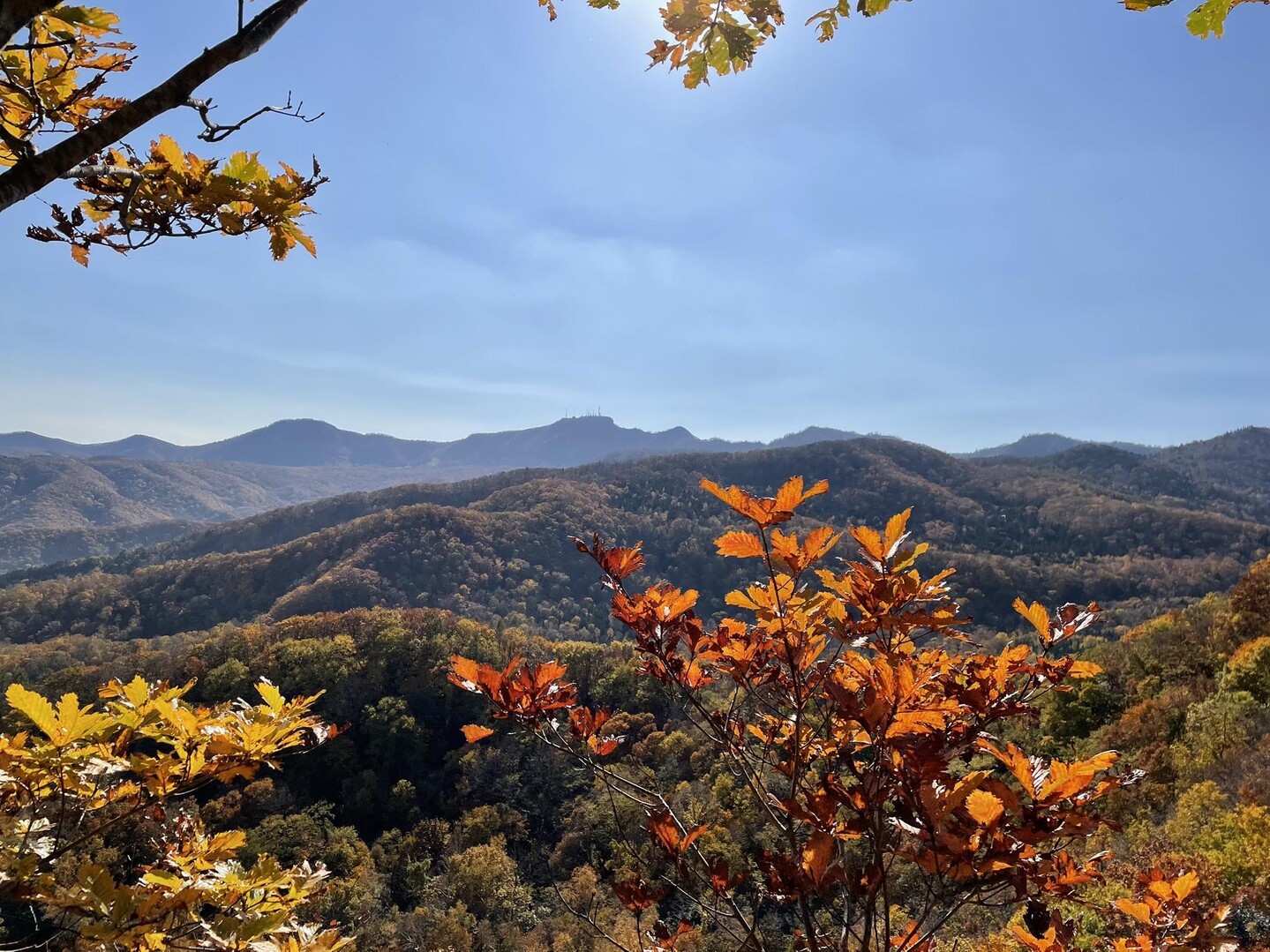 銭天de夏山納めPart II🍁 / MIKAKOさんの春香山・銭函峠・銭函天狗山の活動日記 | YAMAP / ヤマップ