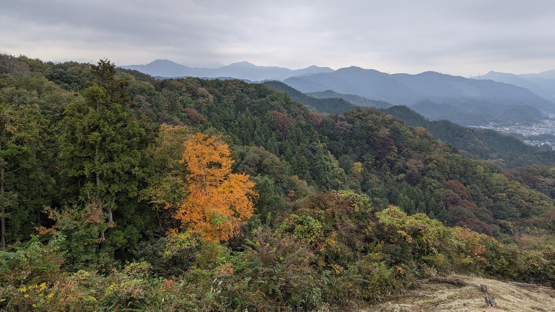 三連休駆け込み山歩き😆 / manchildさんの赤ぼっこの活動データ | YAMAP / ヤマップ