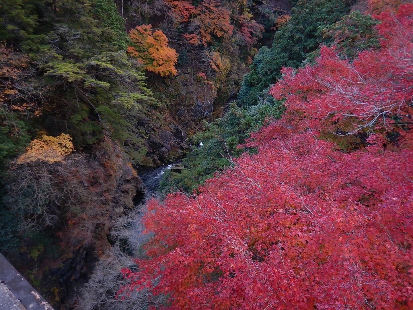 鳩ノ巣城山と鍋割山 / soranotoriさんの大岳山・御岳山・御前山の活動データ | YAMAP / ヤマップ