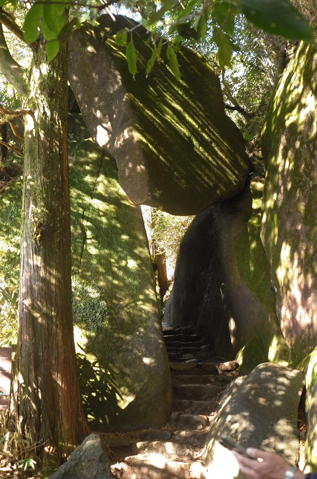 筑波山（女体山）・筑波山（男体山） / chihiroさんの筑波山の活動データ | YAMAP / ヤマップ