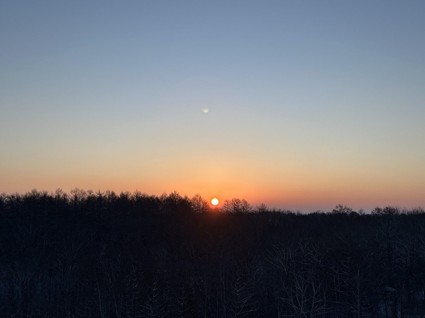 2025年あけましておめでとうございます... / ni43さんのモーメント | YAMAP / ヤマップ