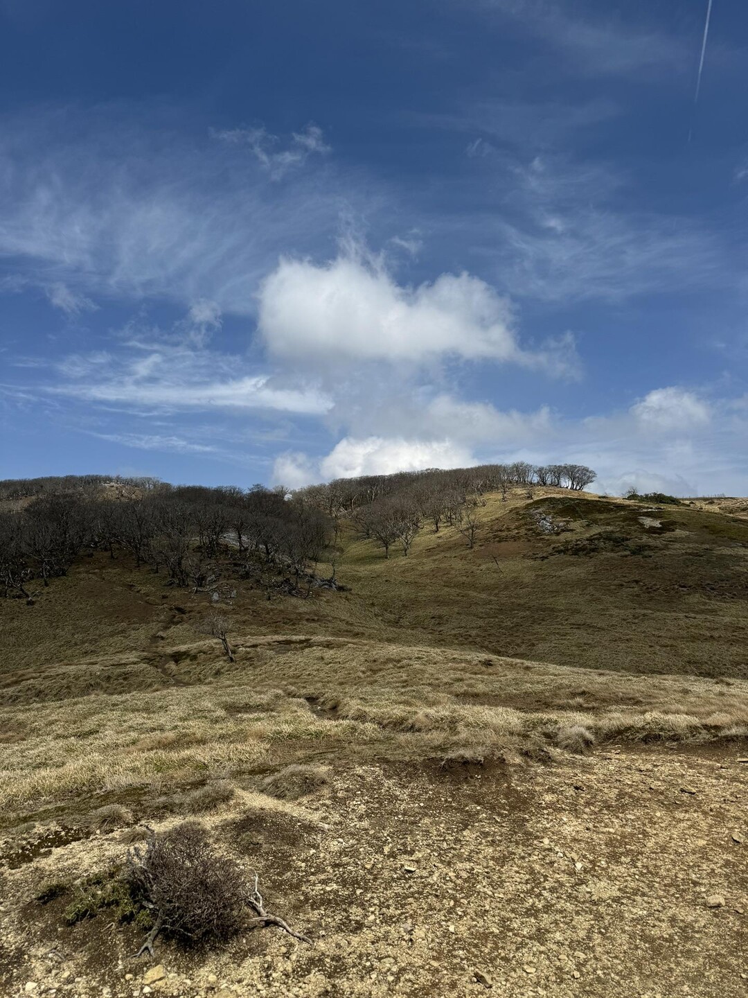 御池岳 / Yama-mo-ryさんの天狗堂の活動データ | YAMAP / ヤマップ
