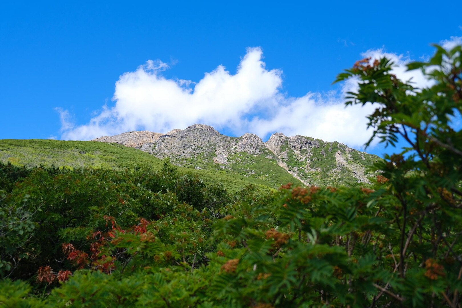御嶽山（剣ヶ峰） / yosucoさんの御嶽山・継子岳・摩利支天山の活動データ | YAMAP / ヤマップ