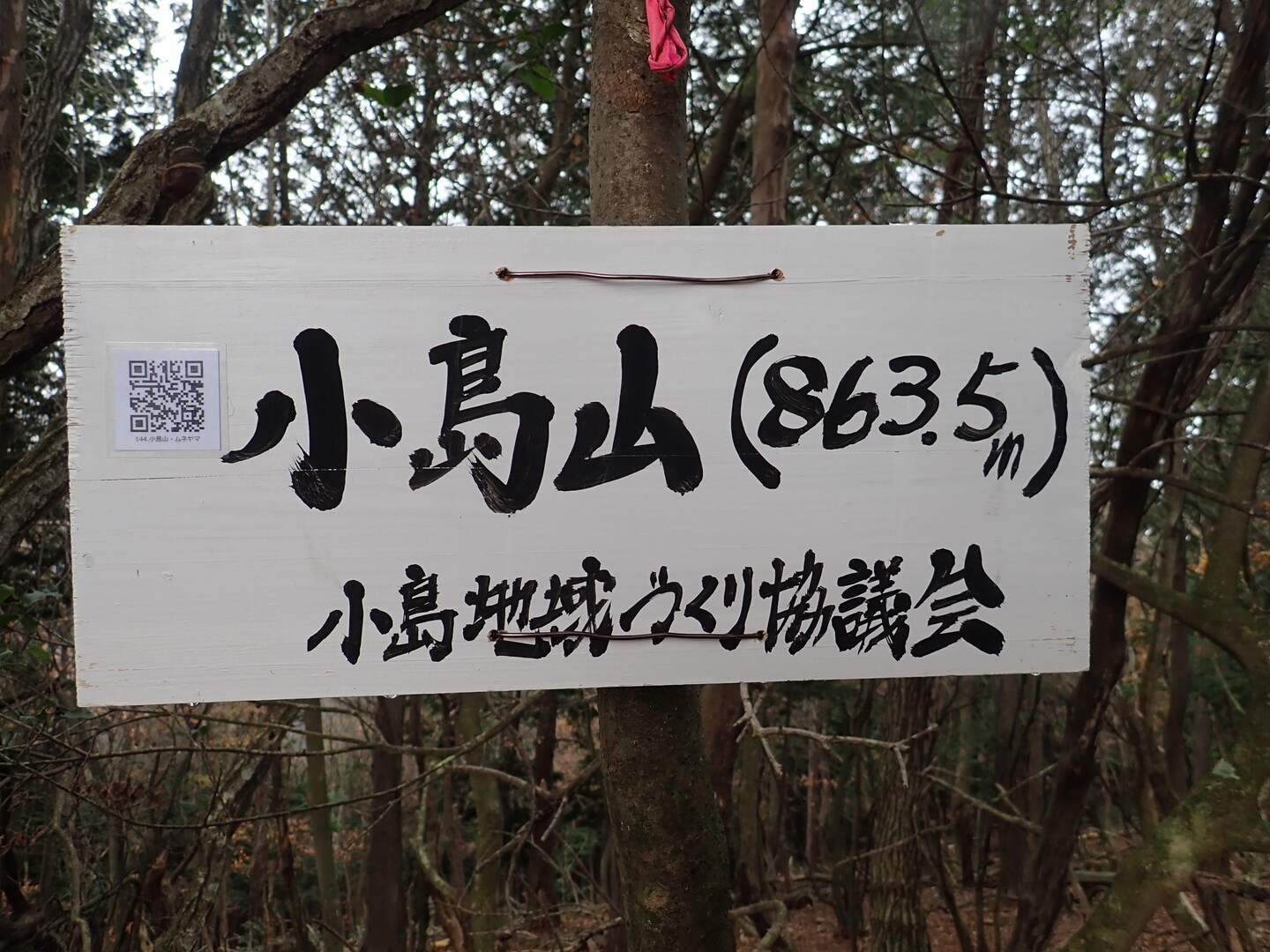 小島山・ムネ山 / *KOUさんの鍋倉山・飯盛山の活動データ | YAMAP / ヤマップ