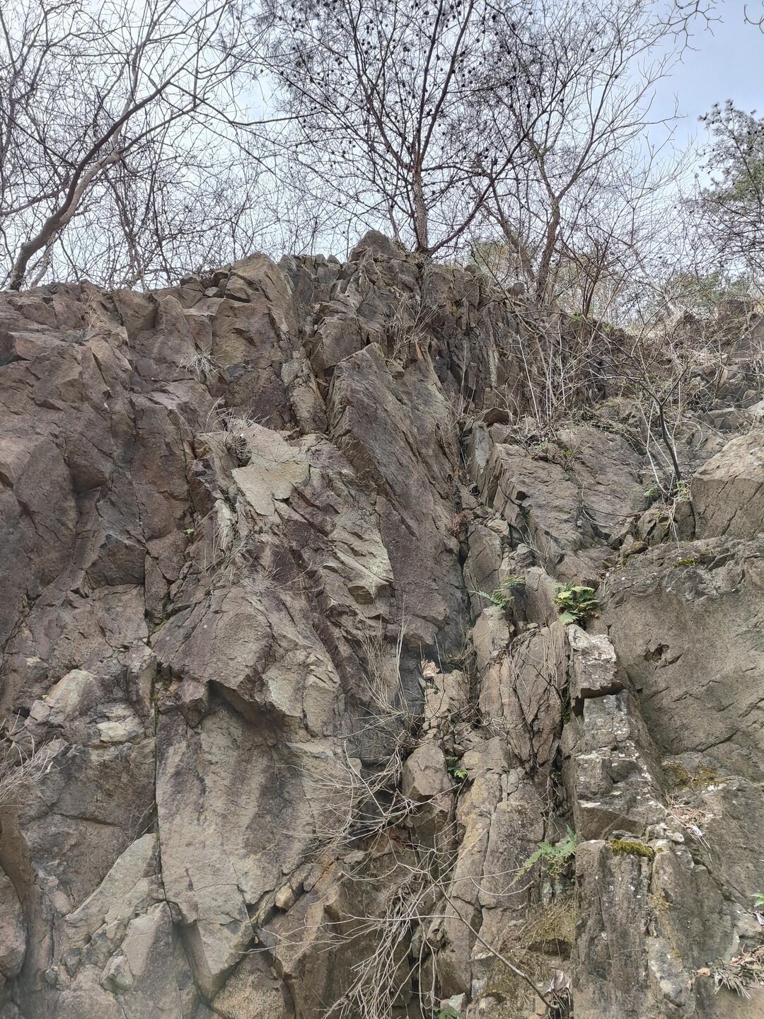 低山の歩き方！大名倉山 / ukeyさんの大名倉山の活動データ | YAMAP / ヤマップ